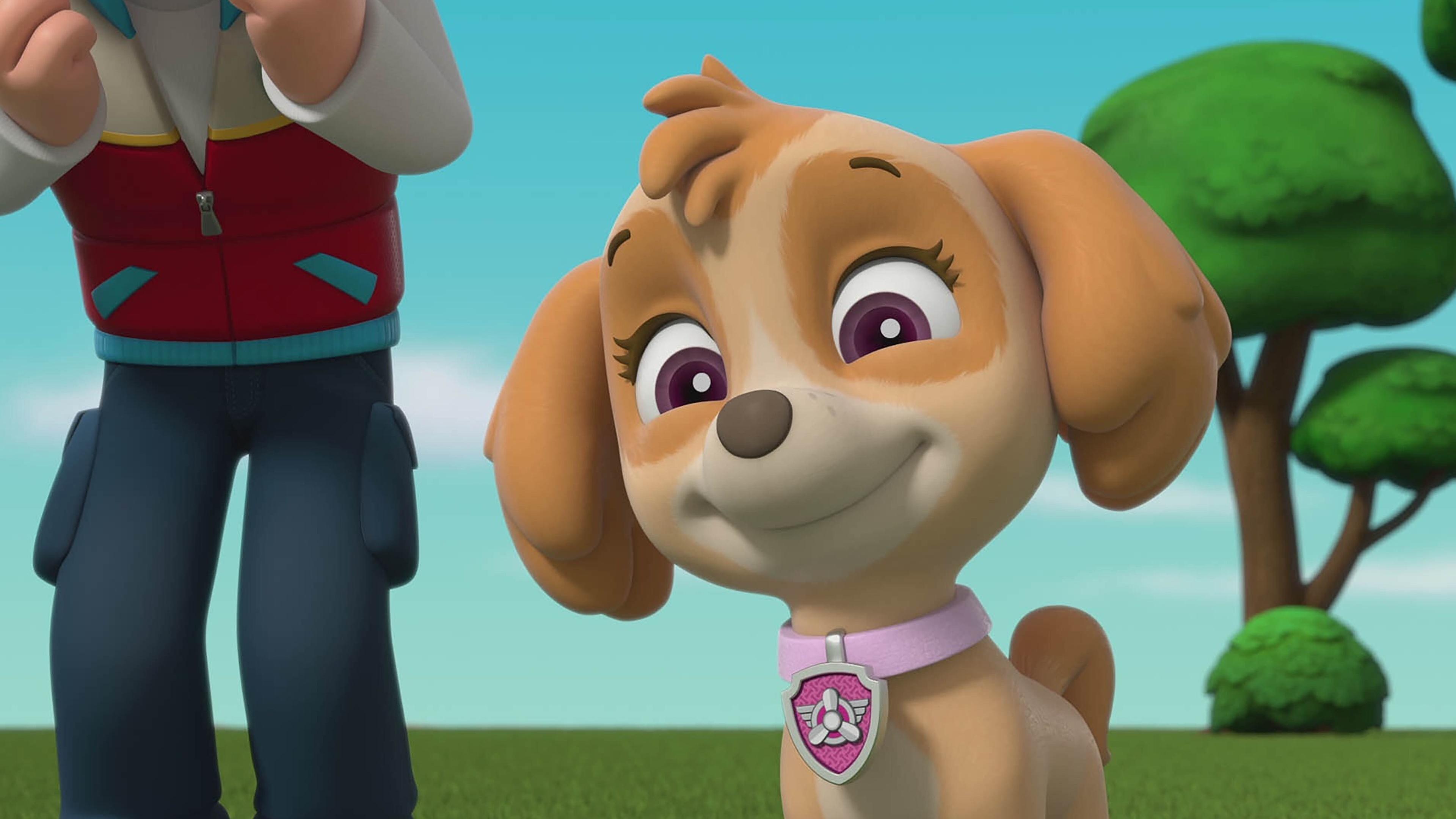 PAW Patrol: Pups Take in a Runaway Kitty!; Pups Save the Cheese Goat!