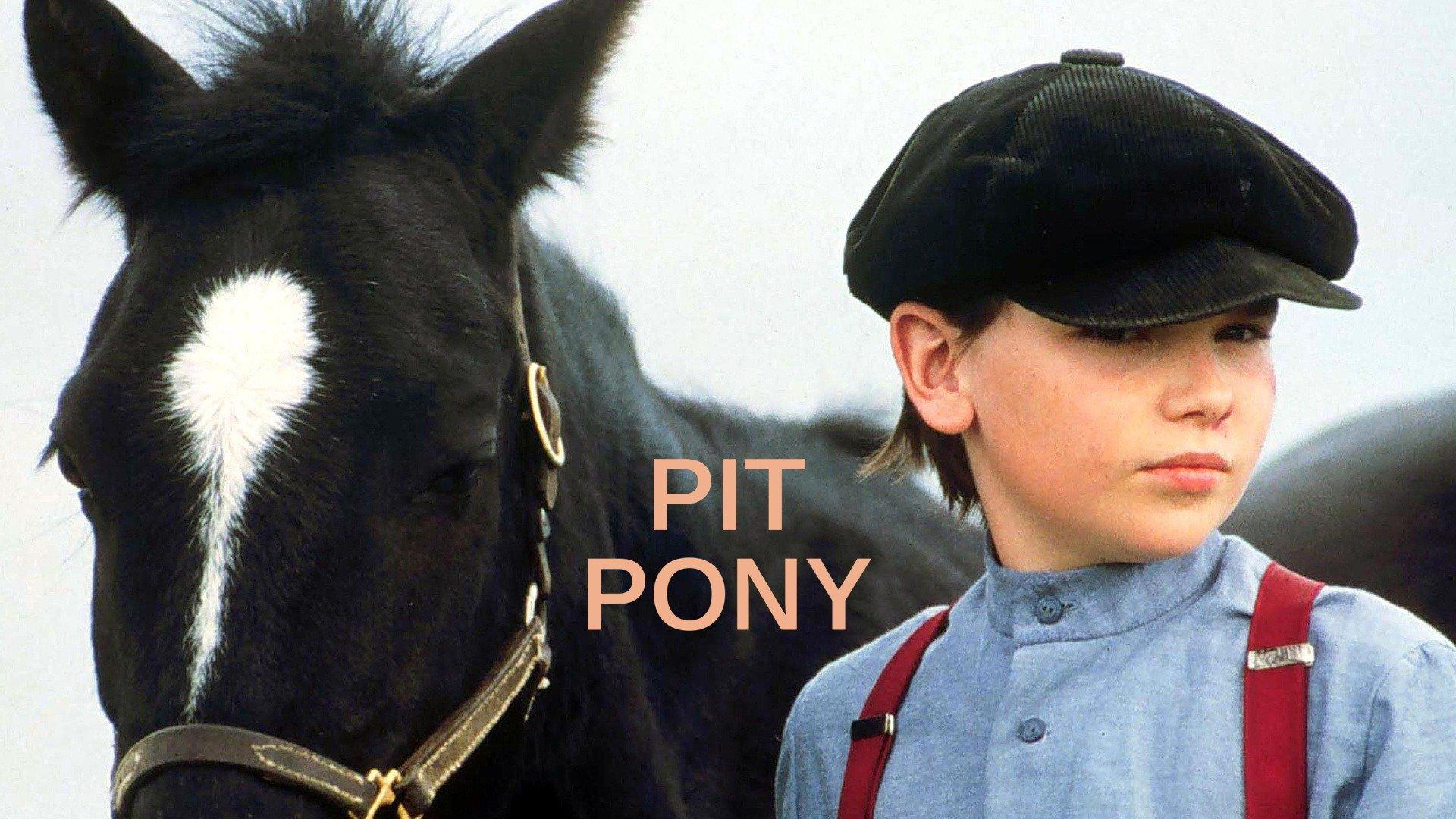Watch Pit Pony Streaming Online on Philo (Free Trial)