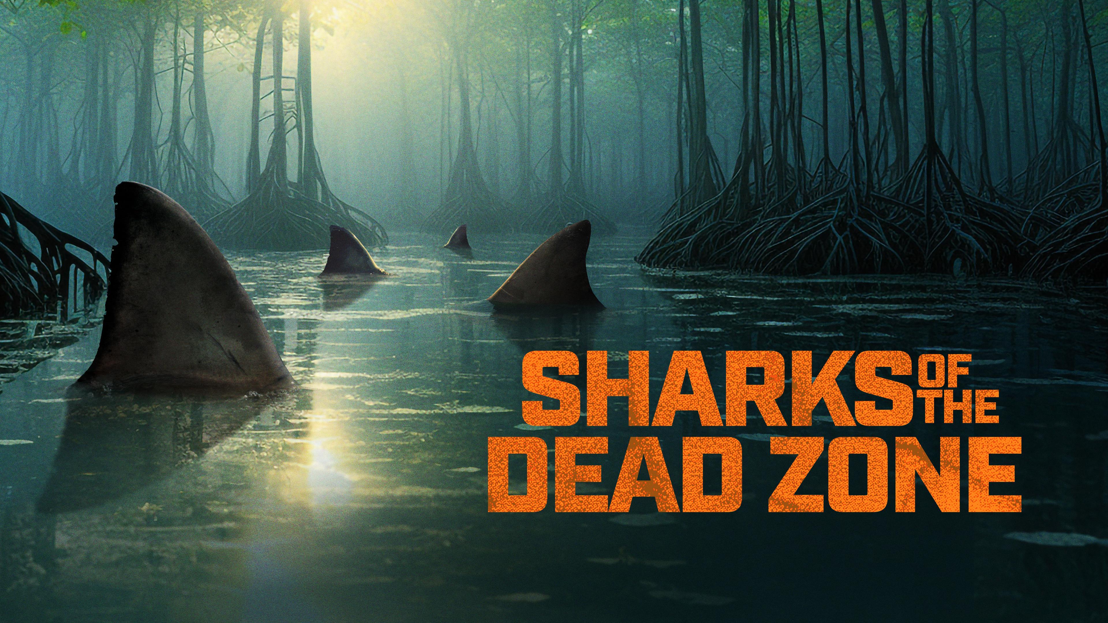 Watch Sharks of the Dead Zone Streaming Online on Philo (Free Trial)