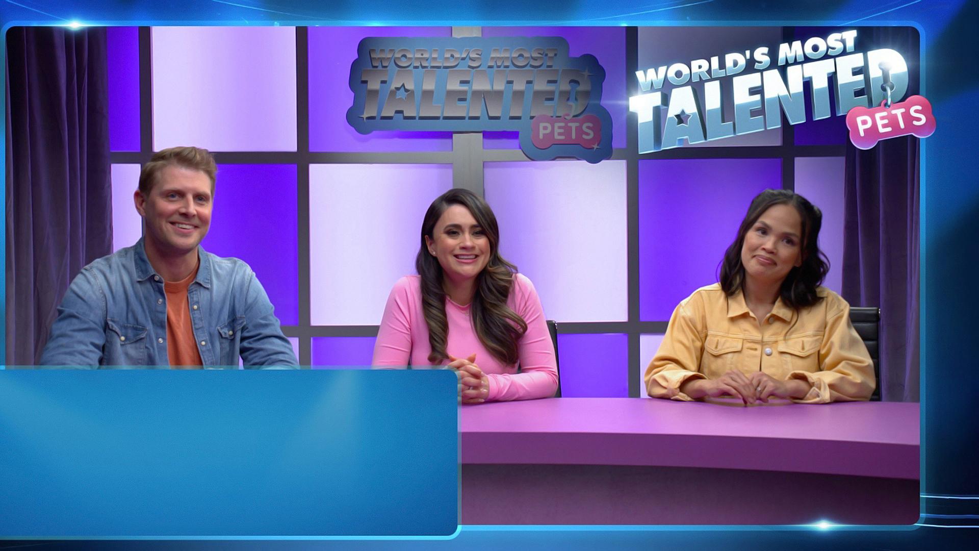 Watch World's Most Talented Pets: S2E4 - Fearless Furry and Feathery ...