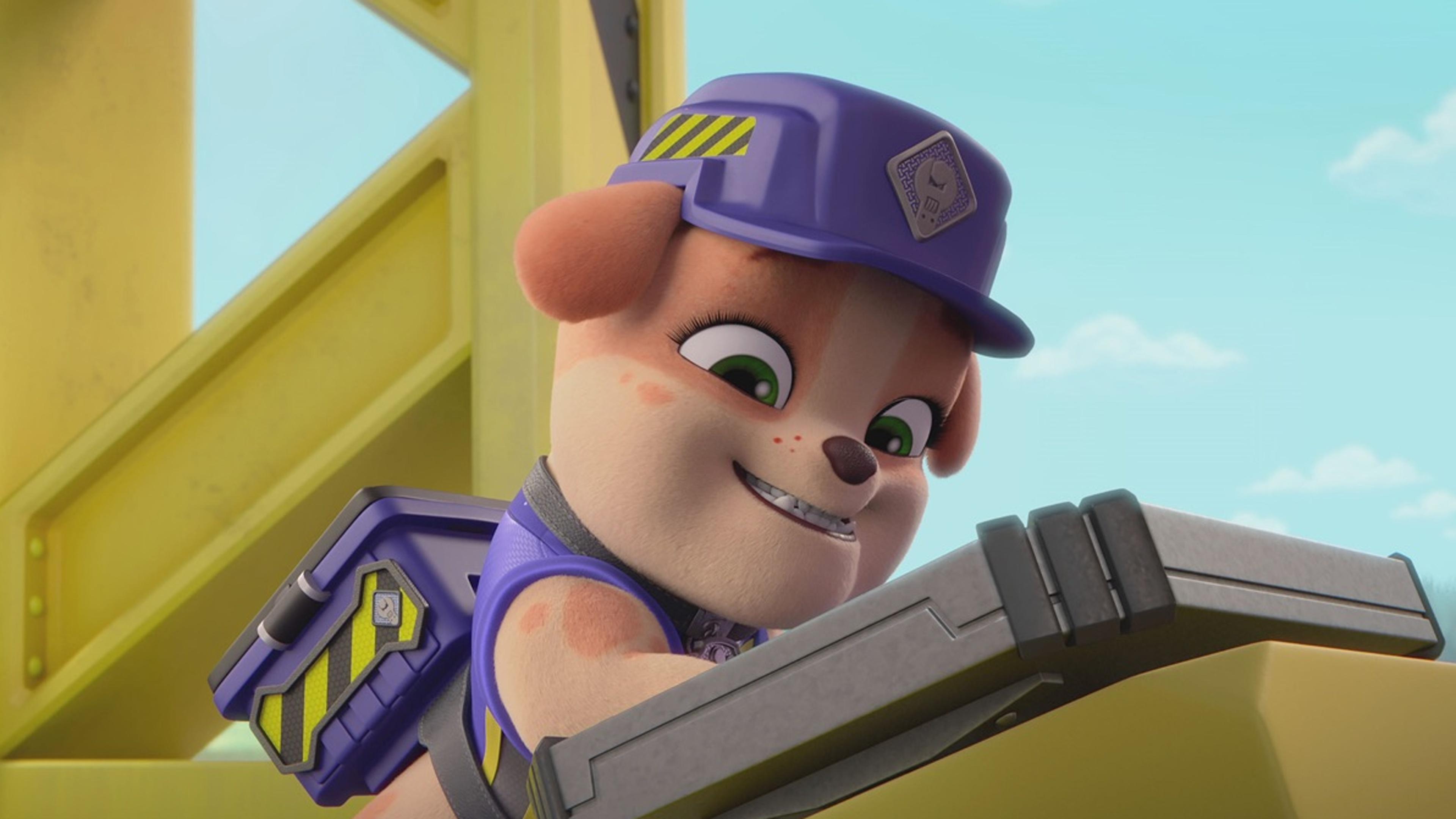 Rubble & Crew: The Crew and Skye Build a Mountain Lodge