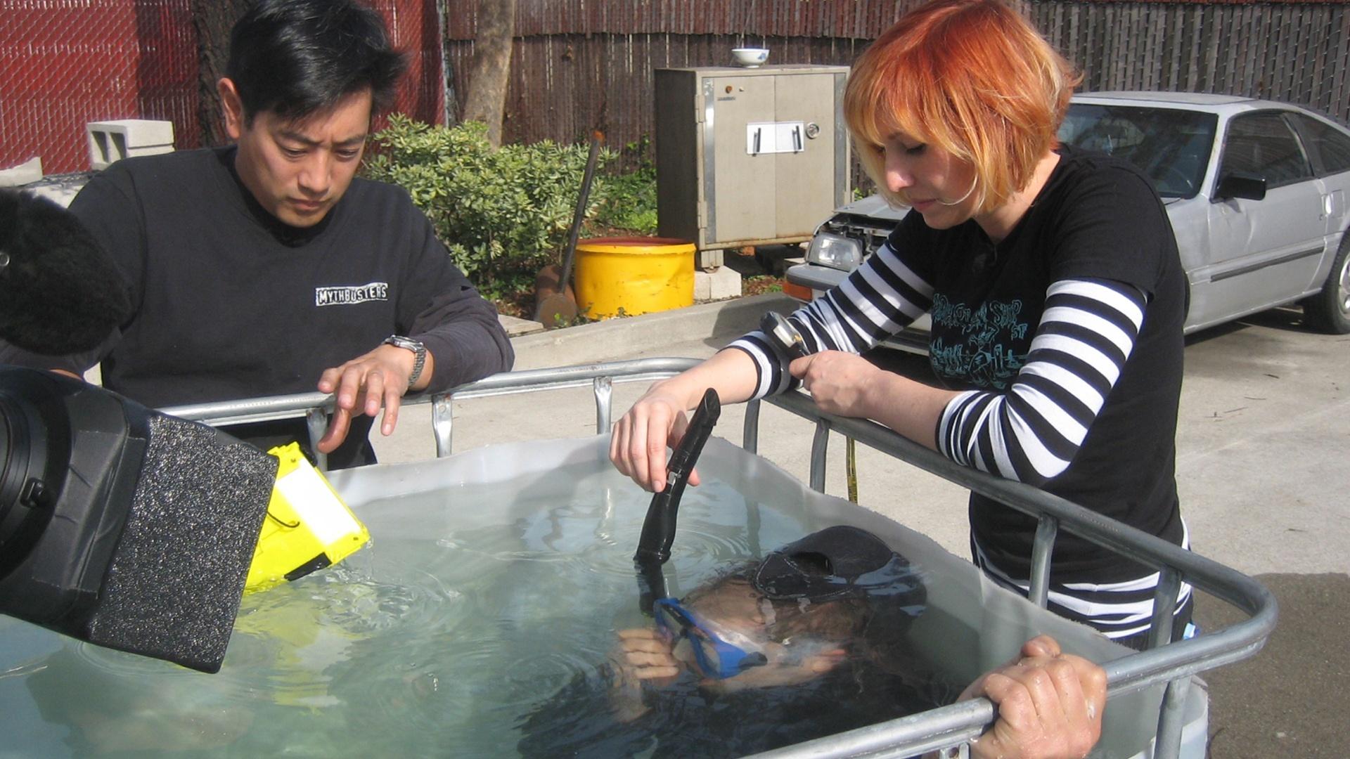 MythBusters: Ninjas 2