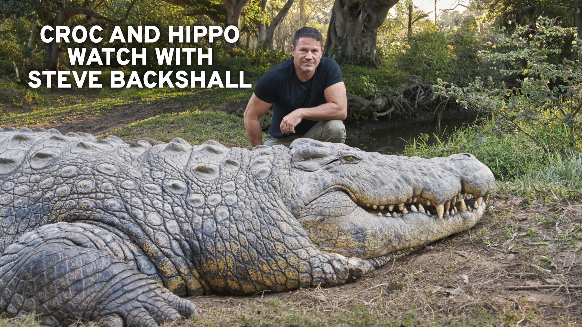 Watch Croc and Hippo Watch with Steve Backshall Streaming Online on ...