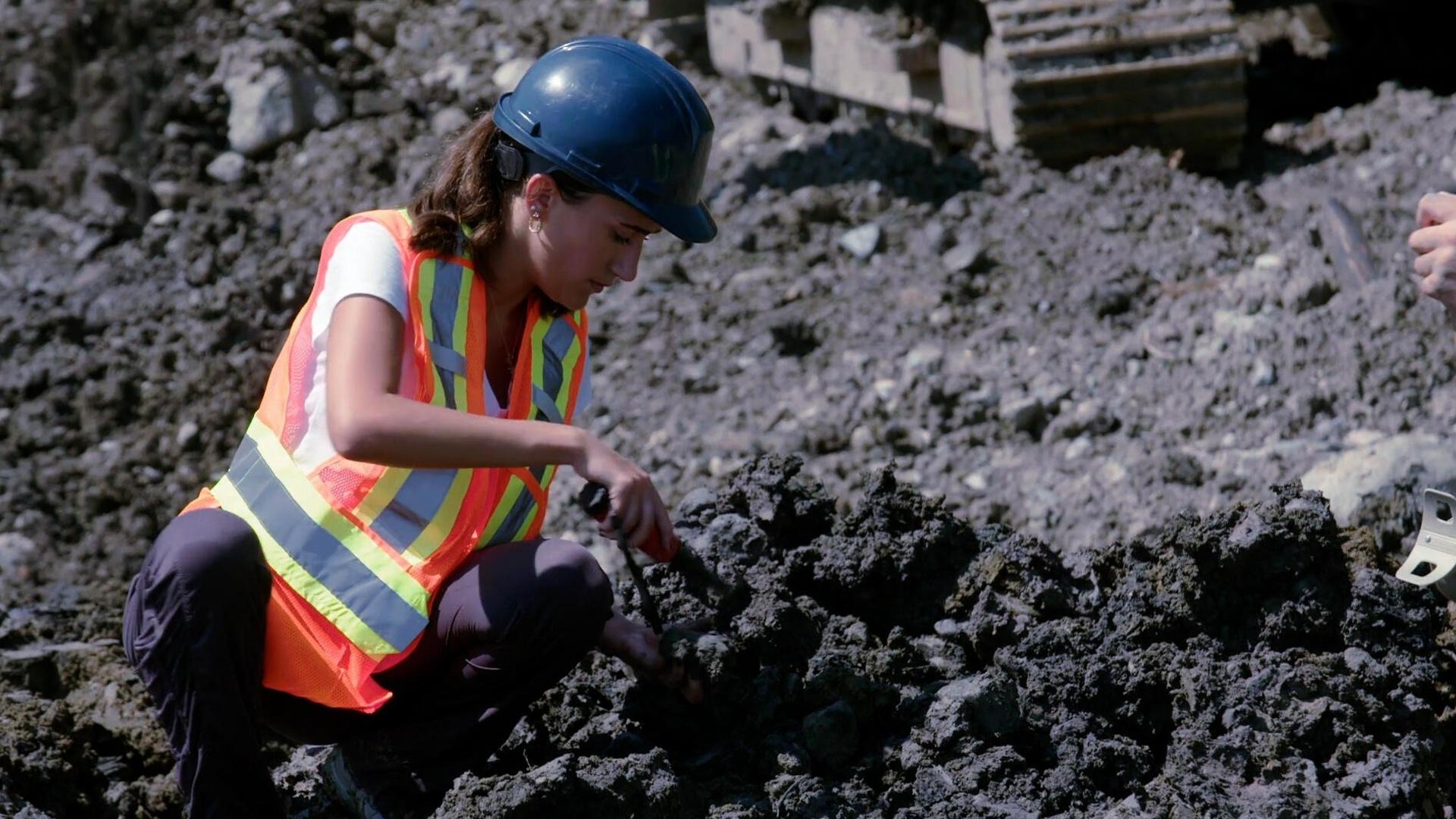 The Curse of Oak Island: It's All Your Vault