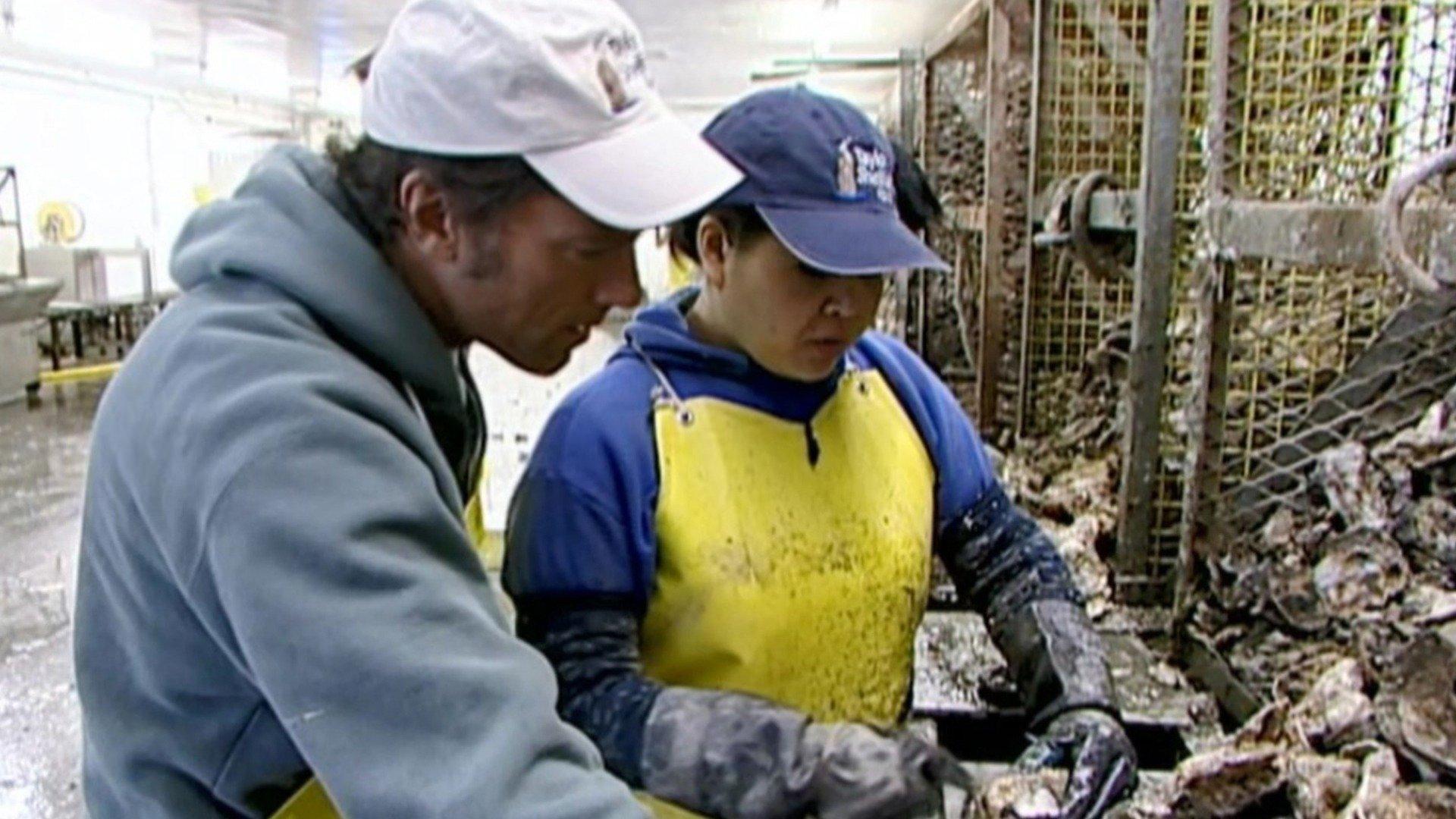 Dirty Jobs: Parade Float Dismantler