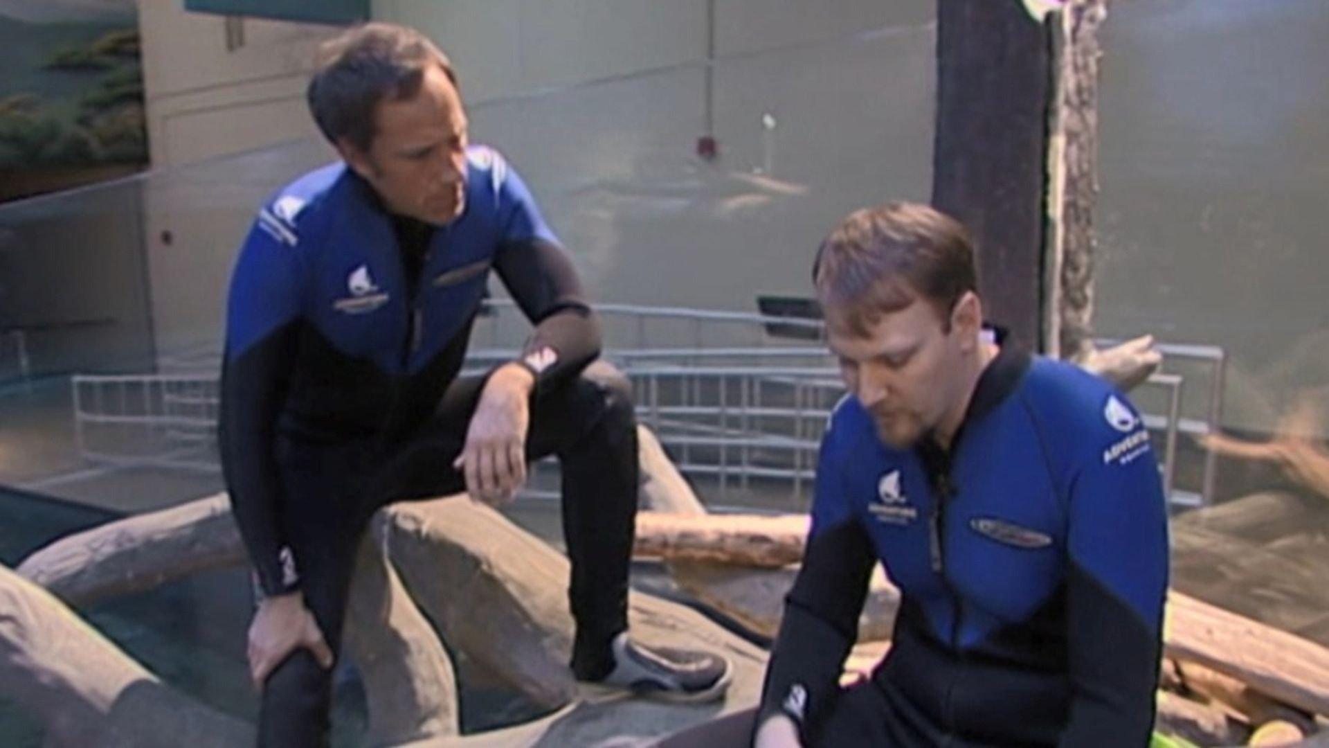 Dirty Jobs: Hoof Cleaner