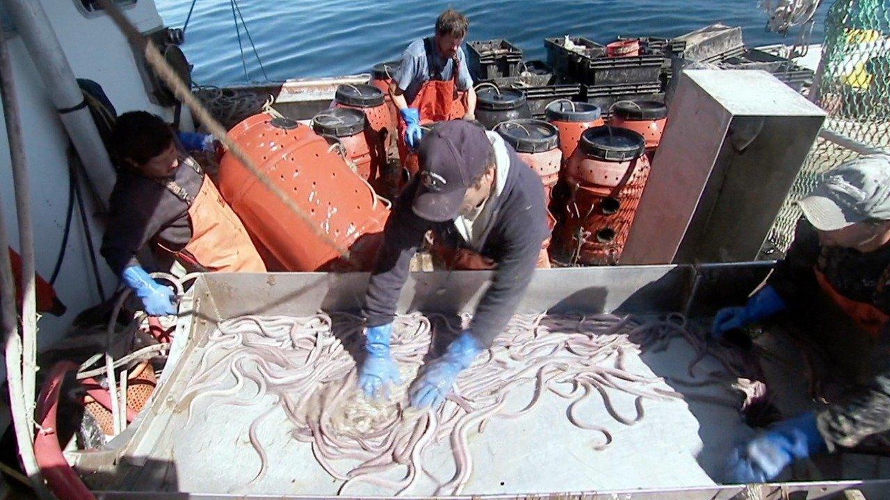 Dirty Jobs: Cave Biologist