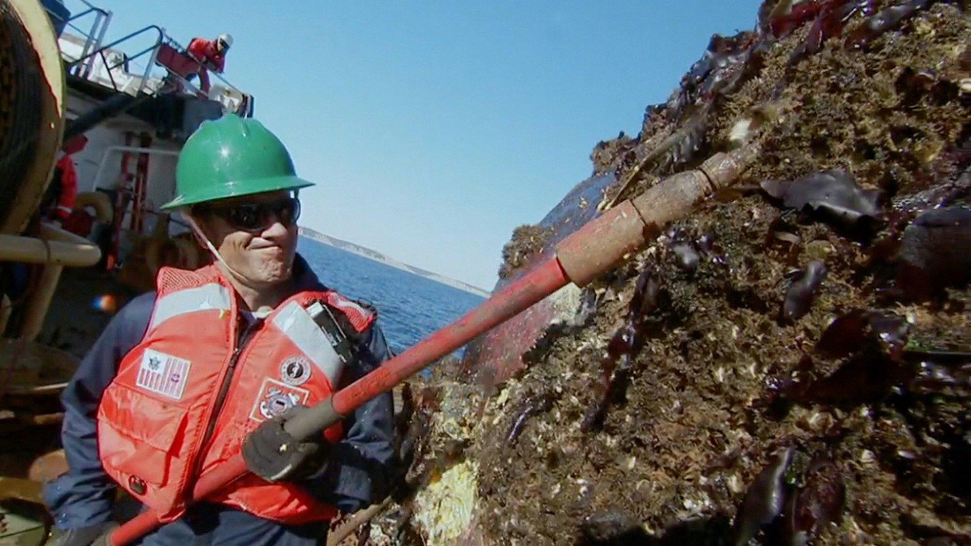 Dirty Jobs: Buoy Cleaner