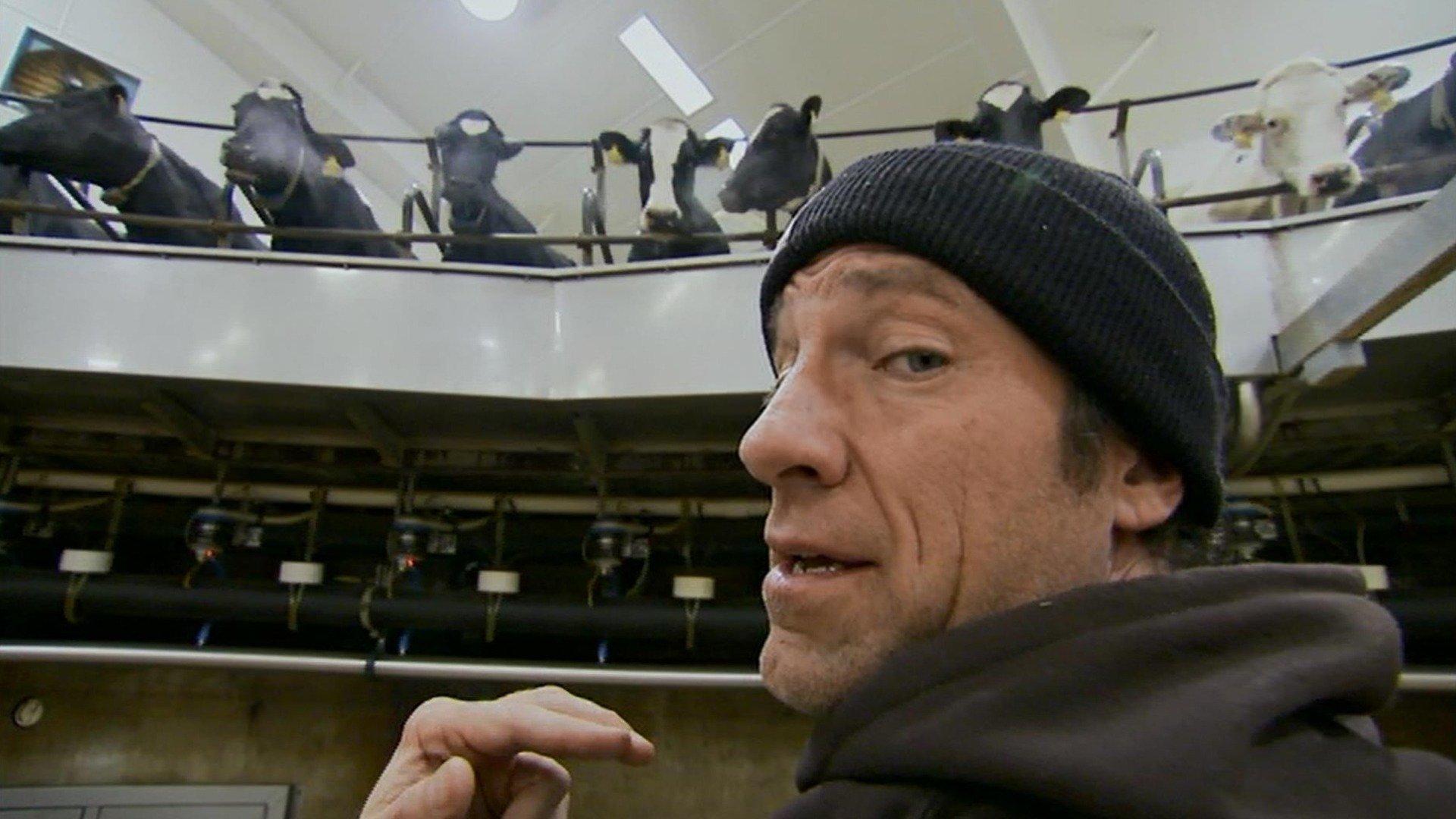Watch Dirty Jobs: S4E11 - Dairy Cow Midwife on Philo (Free Trial)