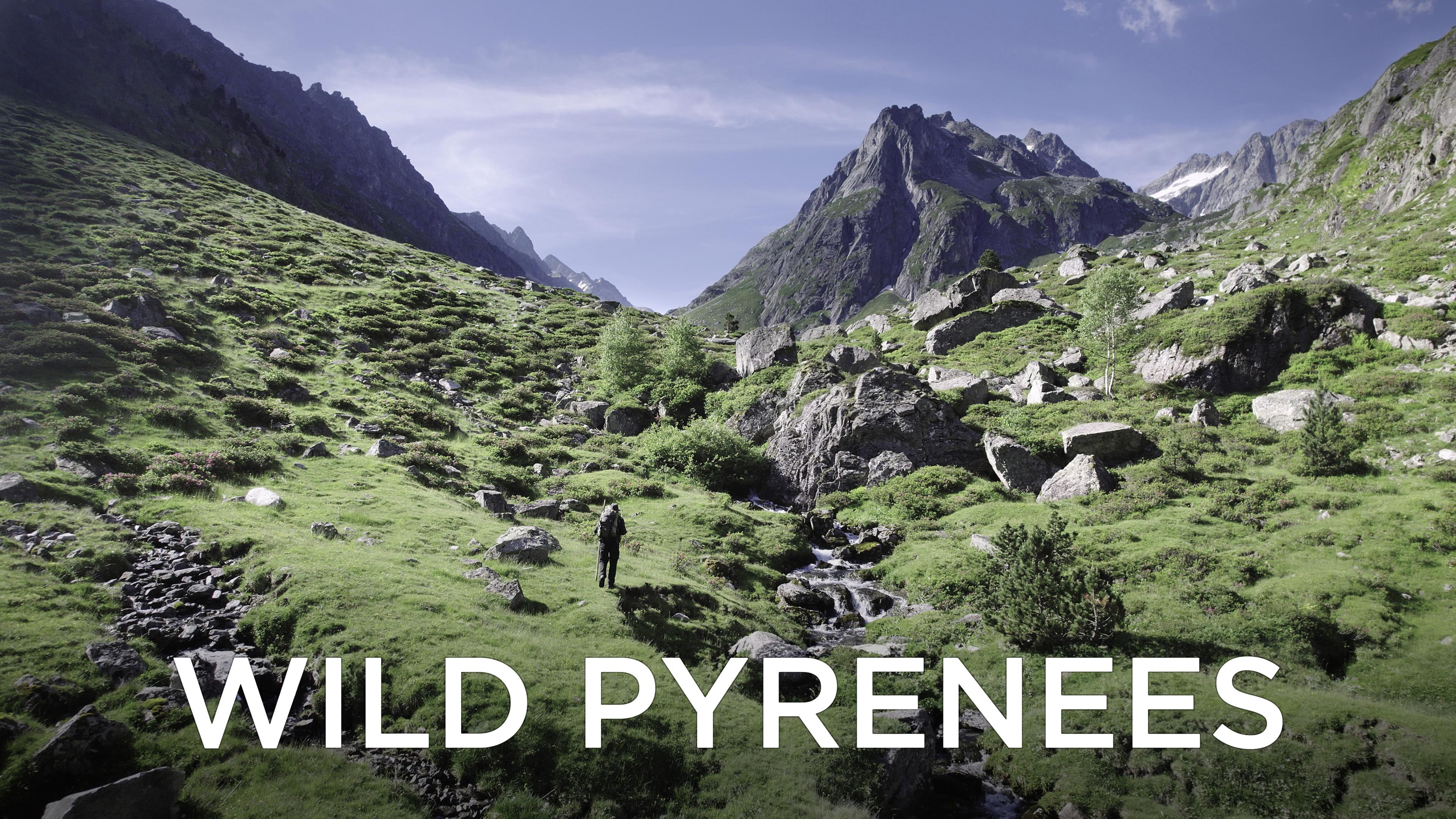 Watch Wild Pyrenees Streaming Online on Philo (Free Trial)