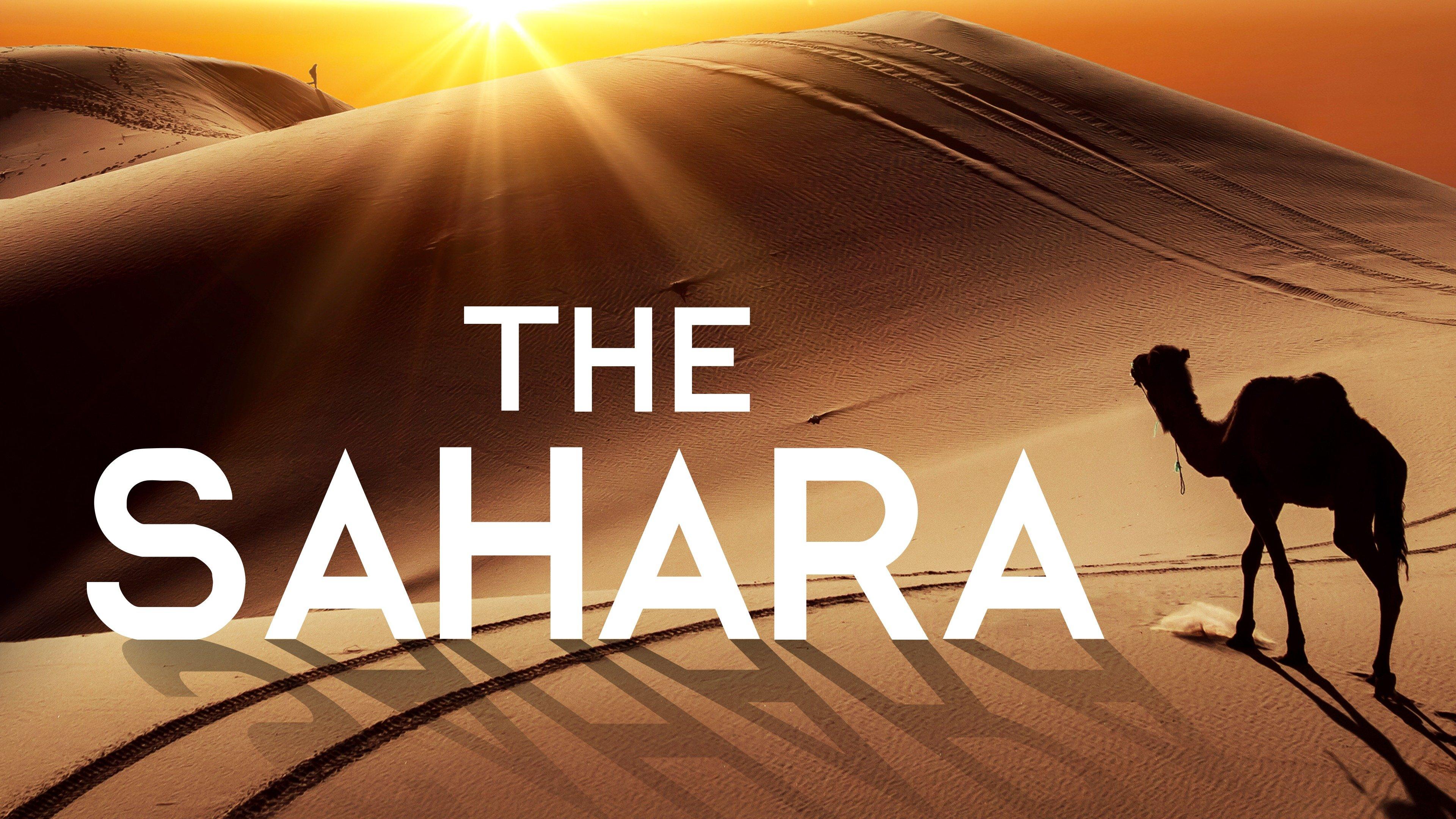 Watch The Sahara Streaming Online on Philo (Free Trial)