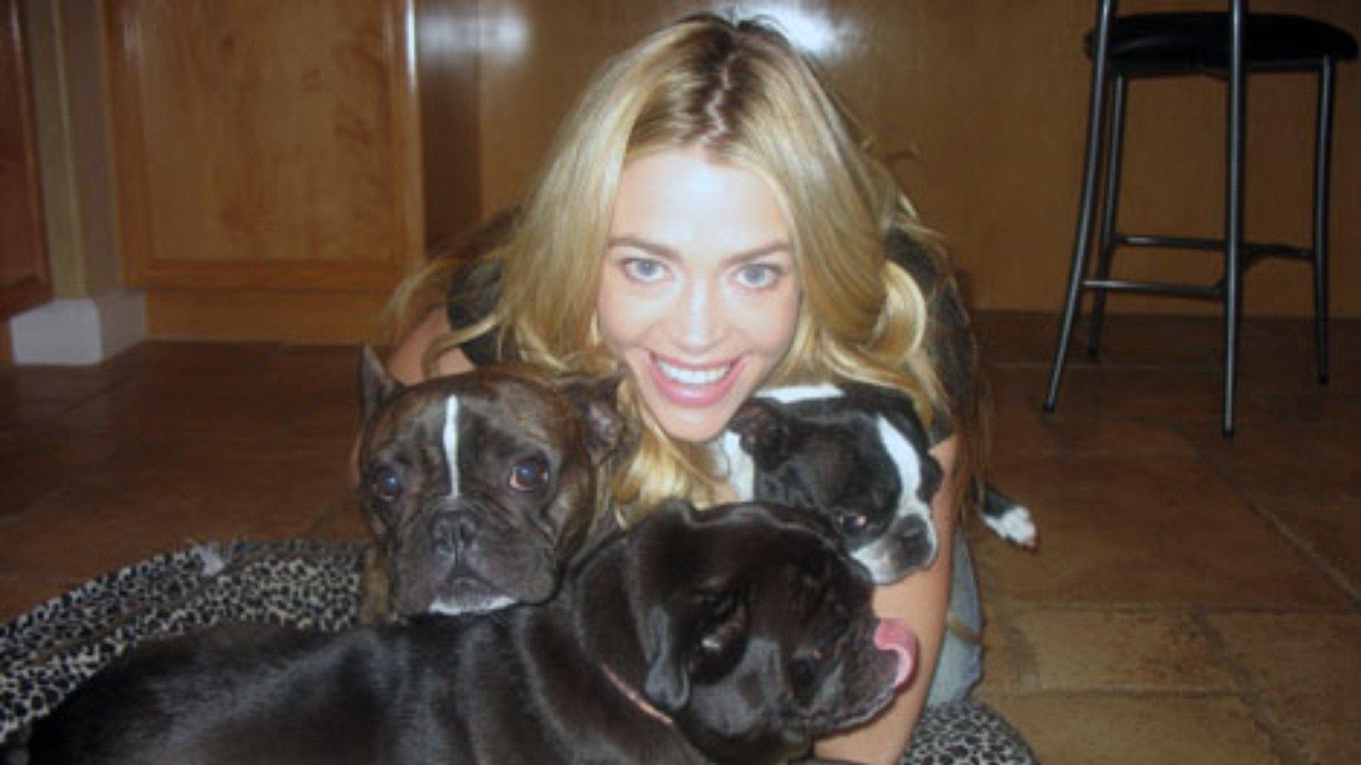 Watch Dog Whisperer: S2E8 - Wild Things on Philo for Free