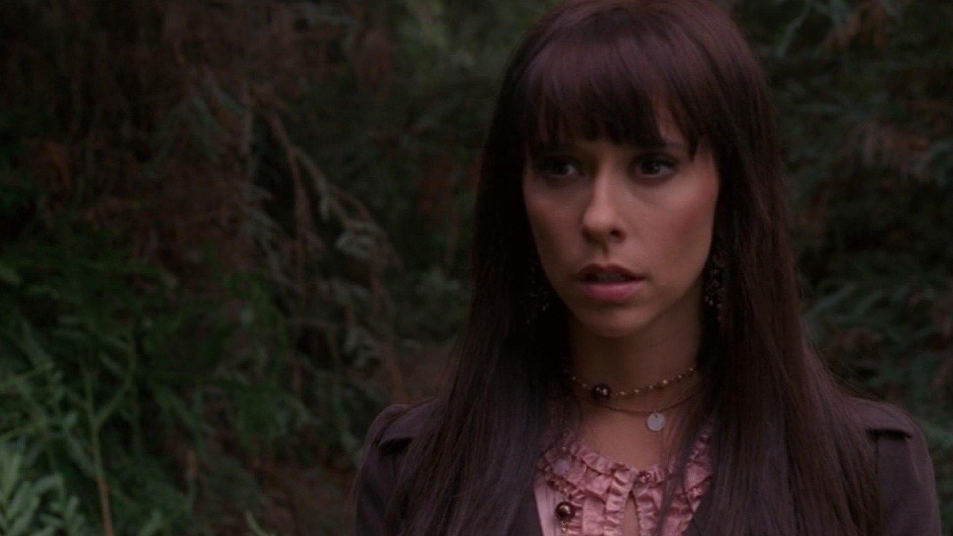 Ghost Whisperer: Voices