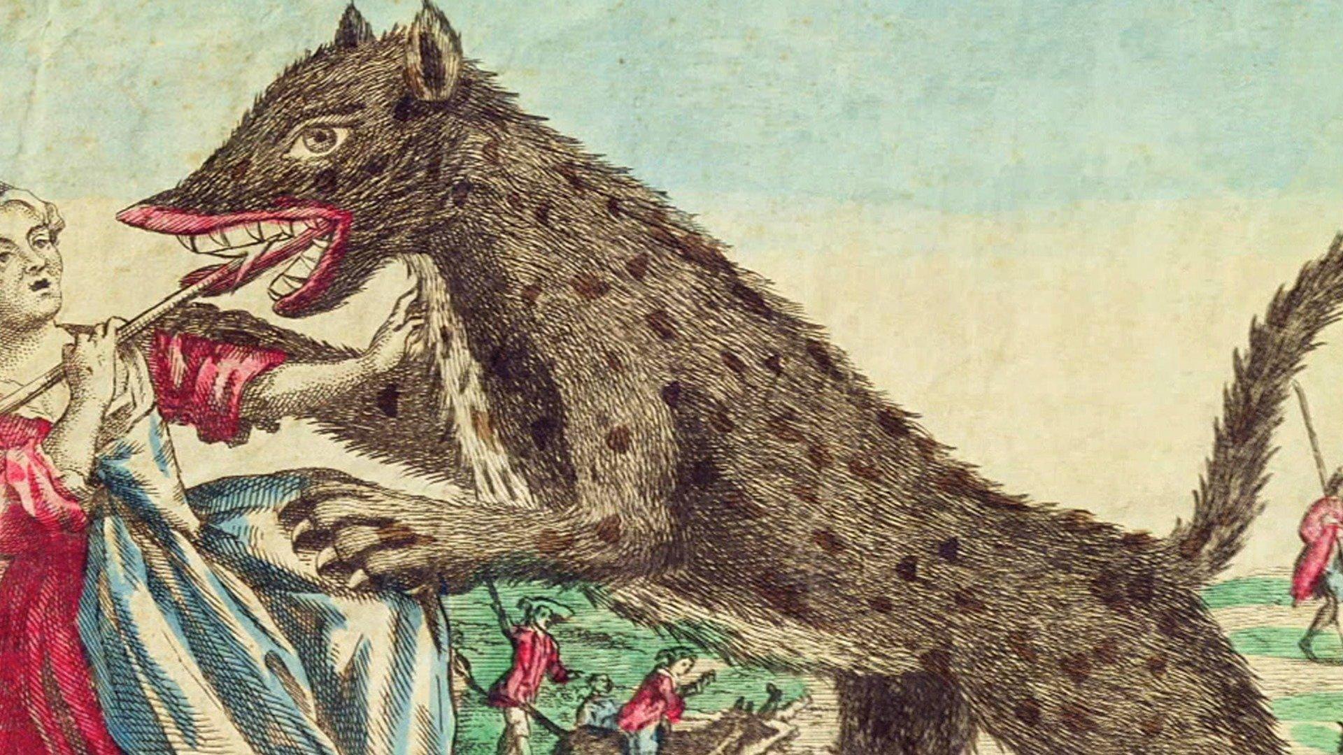 MonsterQuest: American Werewolf