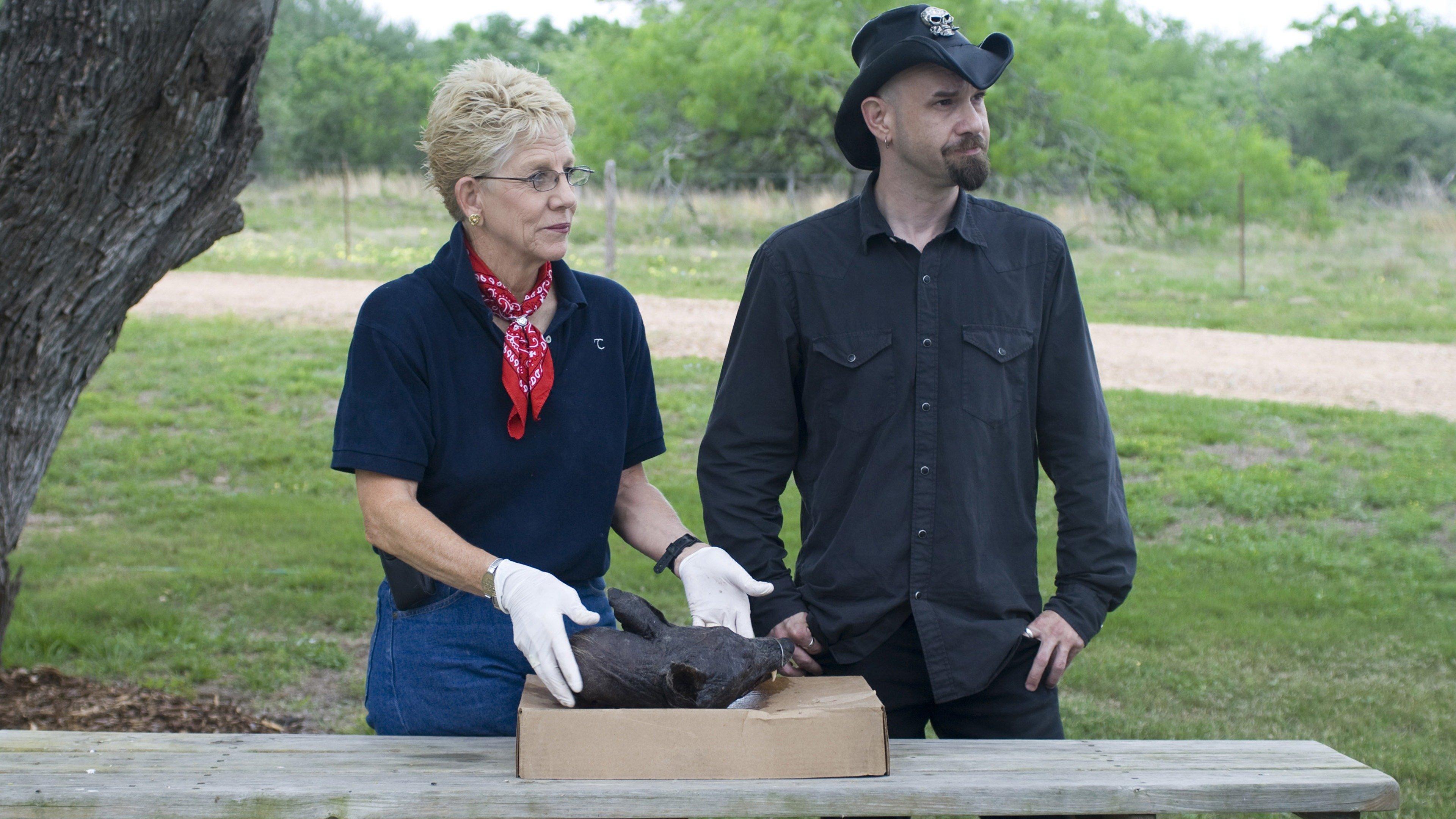 MonsterQuest: Chupacabra