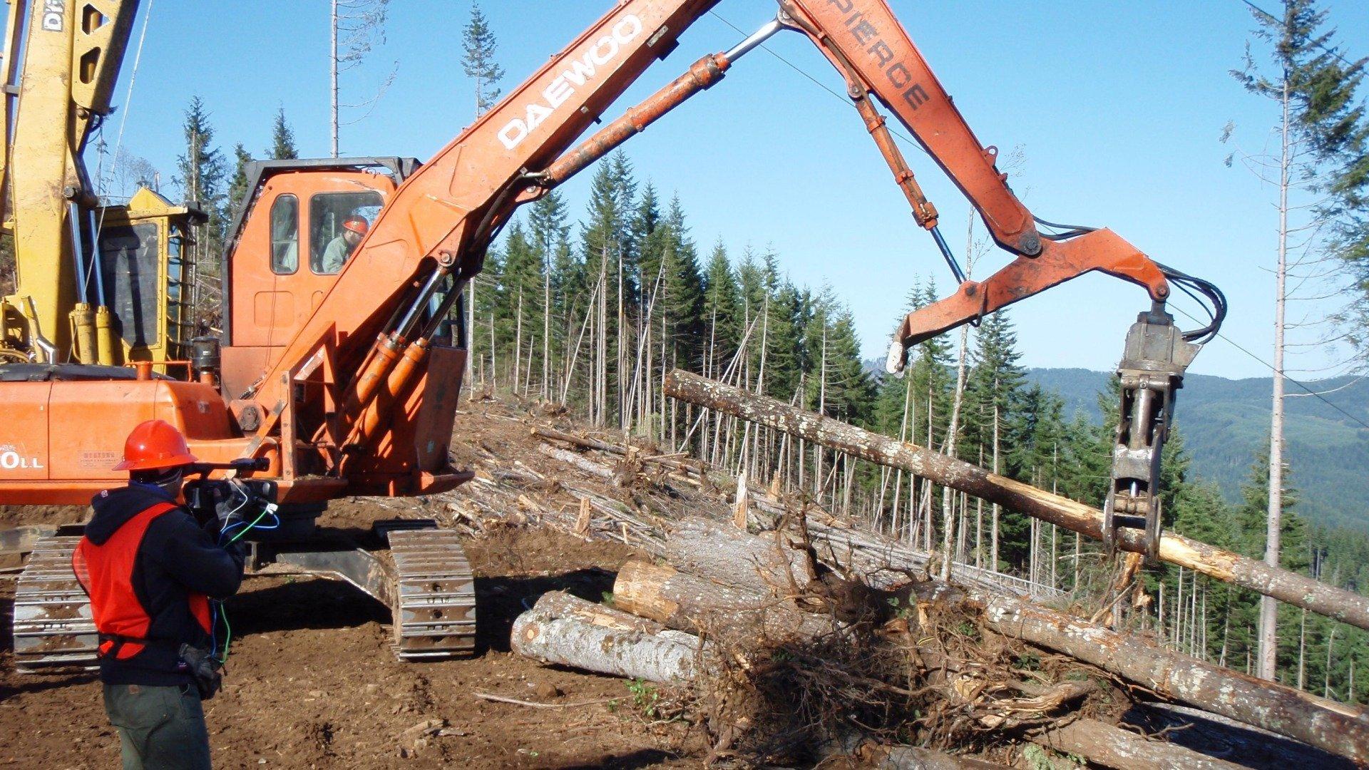 Ax Men: Man vs. Mountain