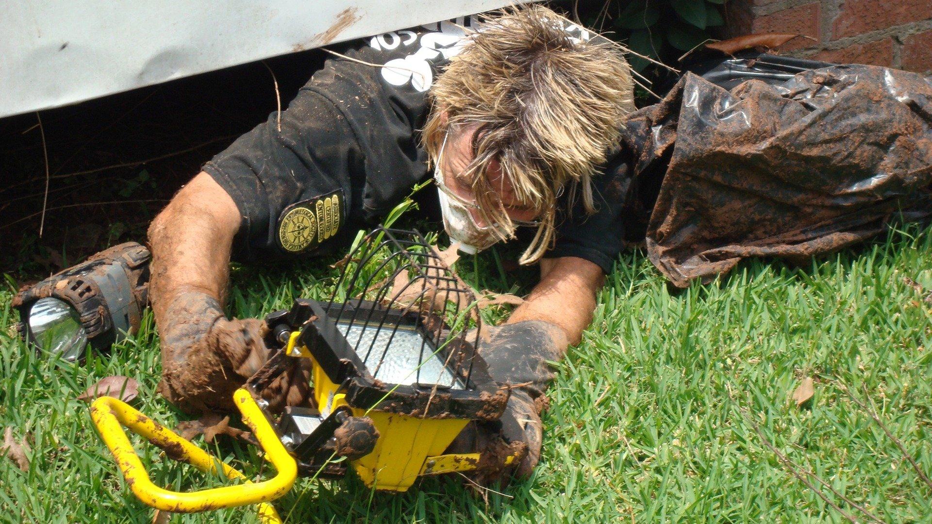 Billy the Exterminator: Kitty Corpse Cleanup