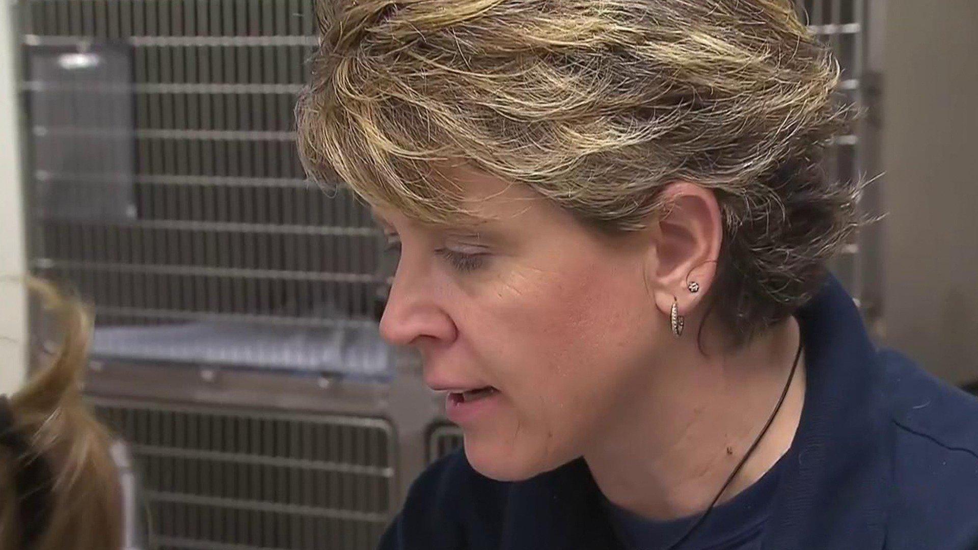 Watch Animal Cops: Phoenix: S15E9 - Criminal Intent on Philo (Free Trial)