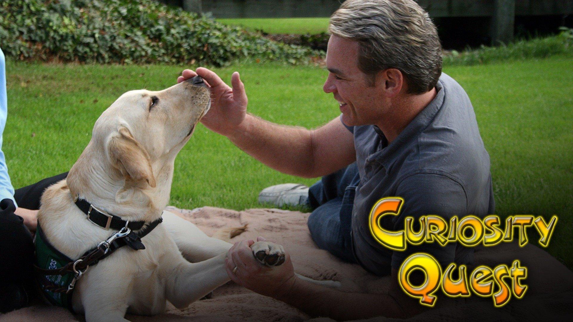 Watch Curiosity Quest Streaming Online on Philo (Free Trial)