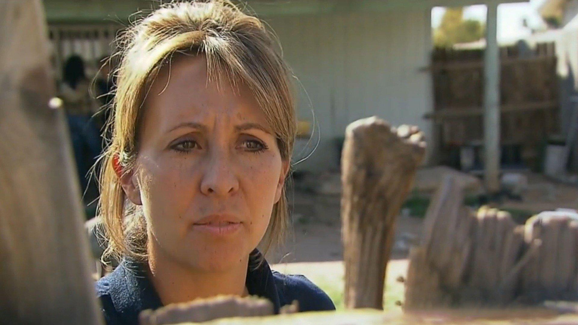 Watch Animal Cops: Phoenix: S15E13 - Mange Misery on Philo (Free Trial)