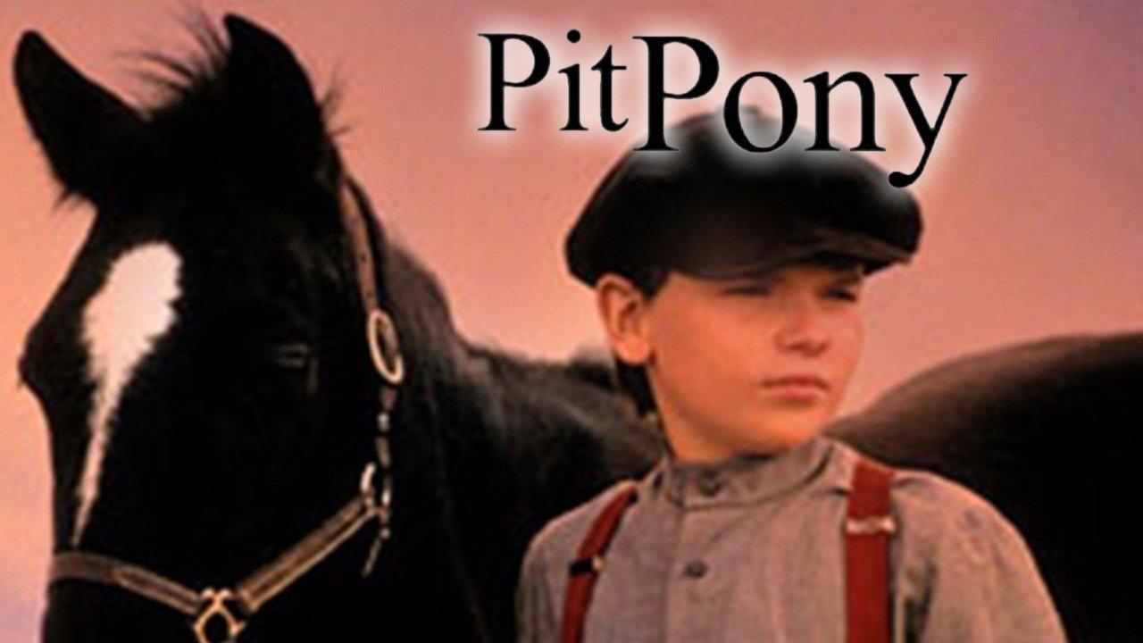 Watch Pit Pony Streaming Online on Philo (Free Trial)