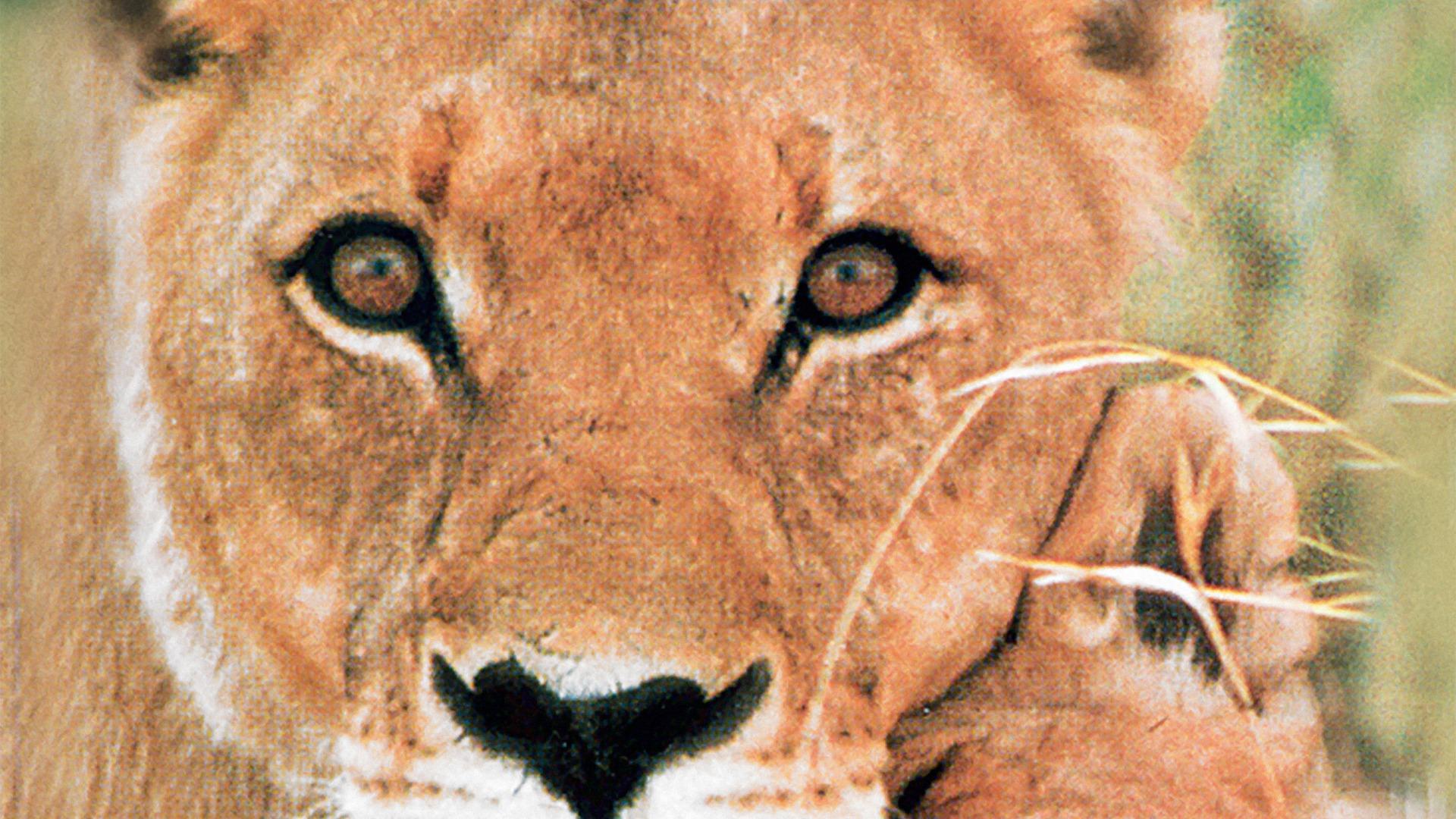 Born Free: Get On It!