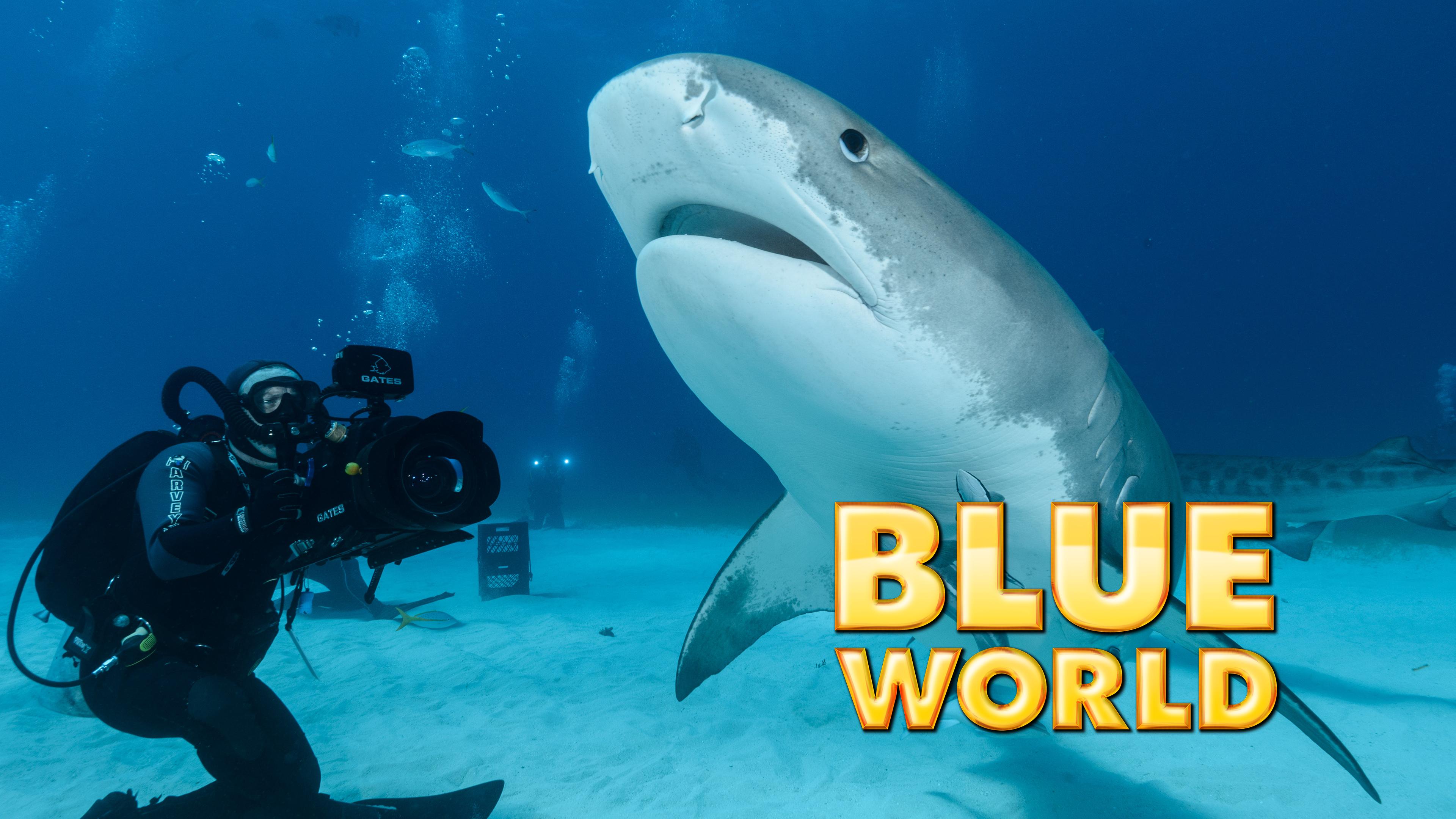 Watch Blue World Streaming Online on Philo for Free