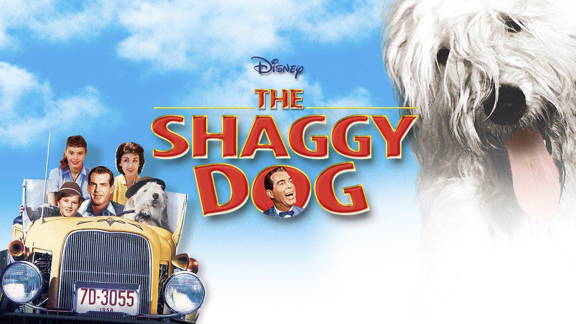 Watch The Shaggy Dog Streaming Online on Philo (Free Trial)