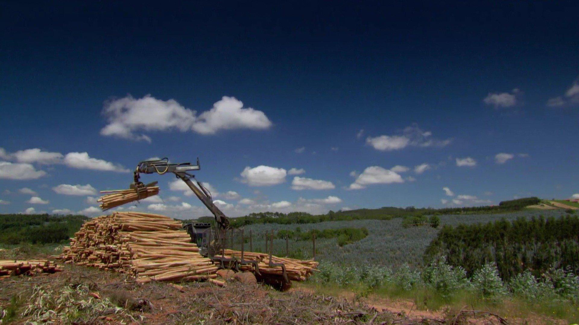 Watch How Do They Do It?: S6E19 - Stainless Steel; Making Paper ...