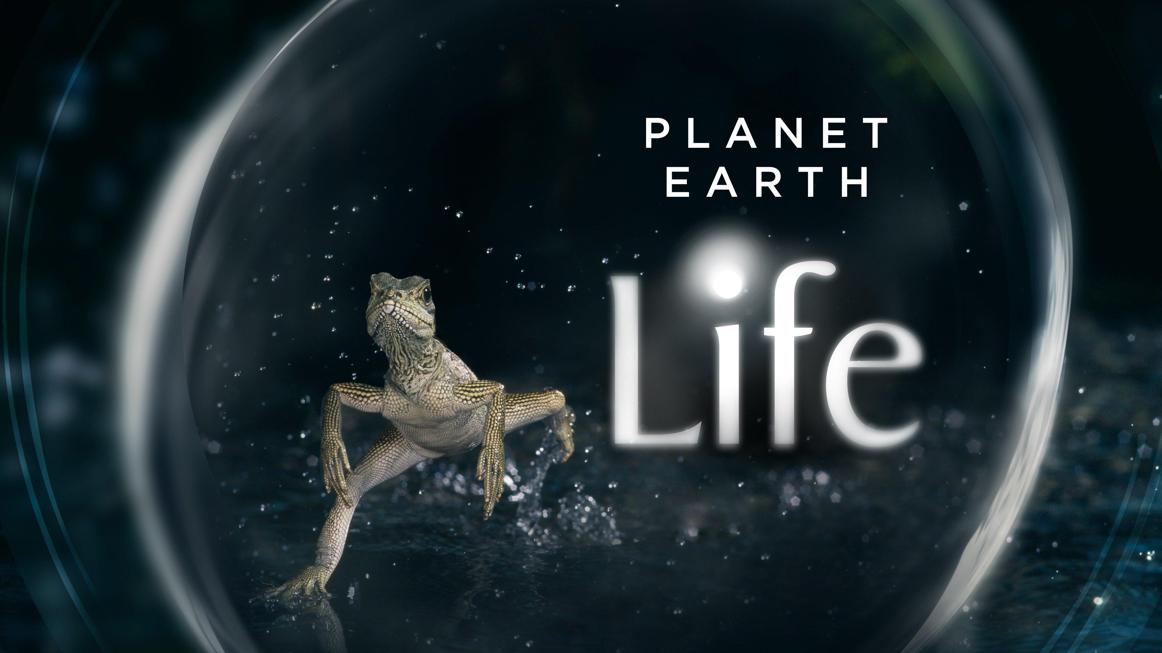 Watch Planet Earth: Life Streaming Online on Philo (Free Trial)