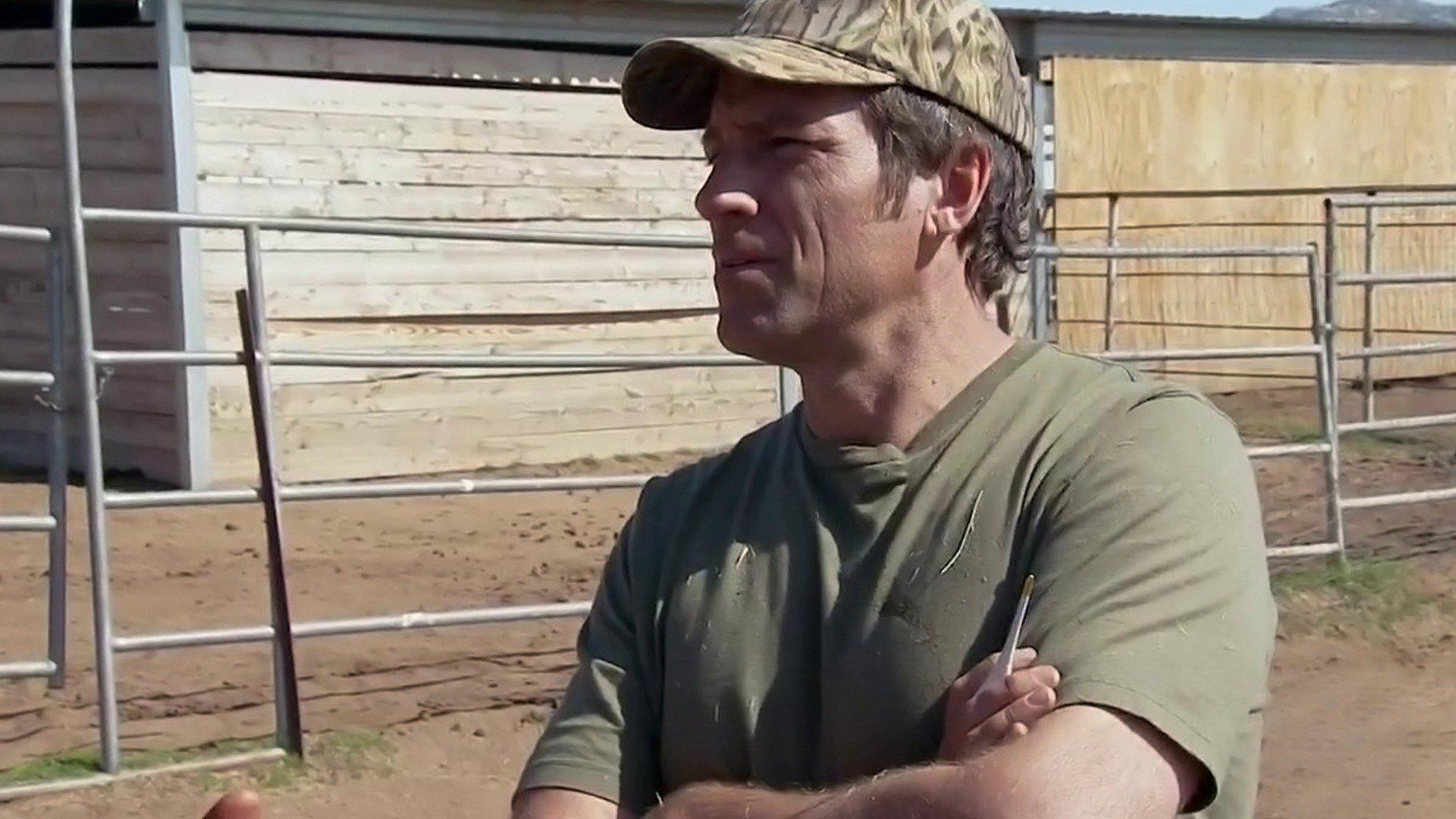 Dirty Jobs: Camel Rancher