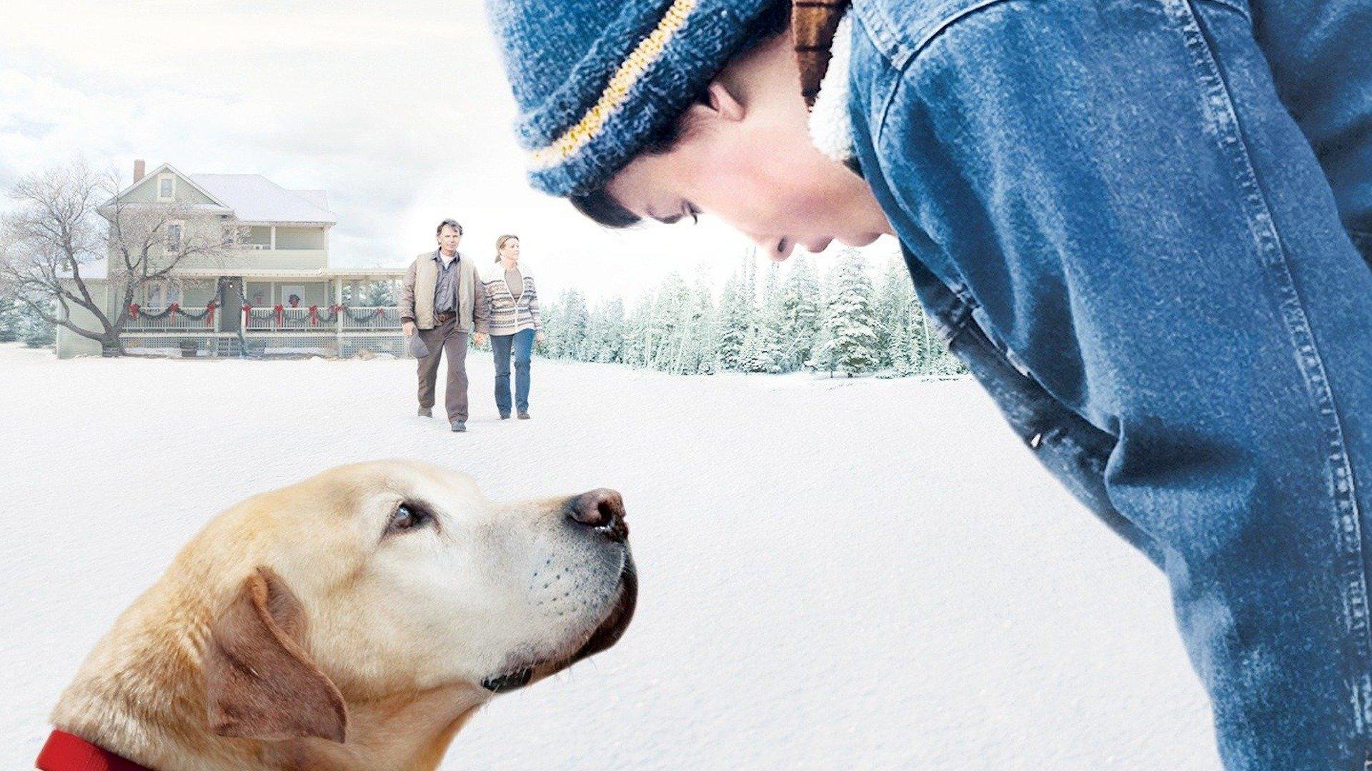 A Dog Named Christmas A Dog Named Christmas