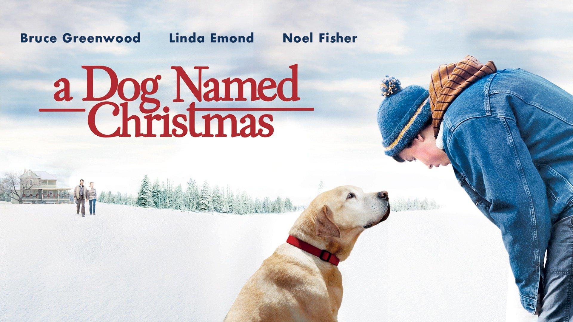 Watch A Dog Named Christmas Streaming Online on Philo (Free Trial)