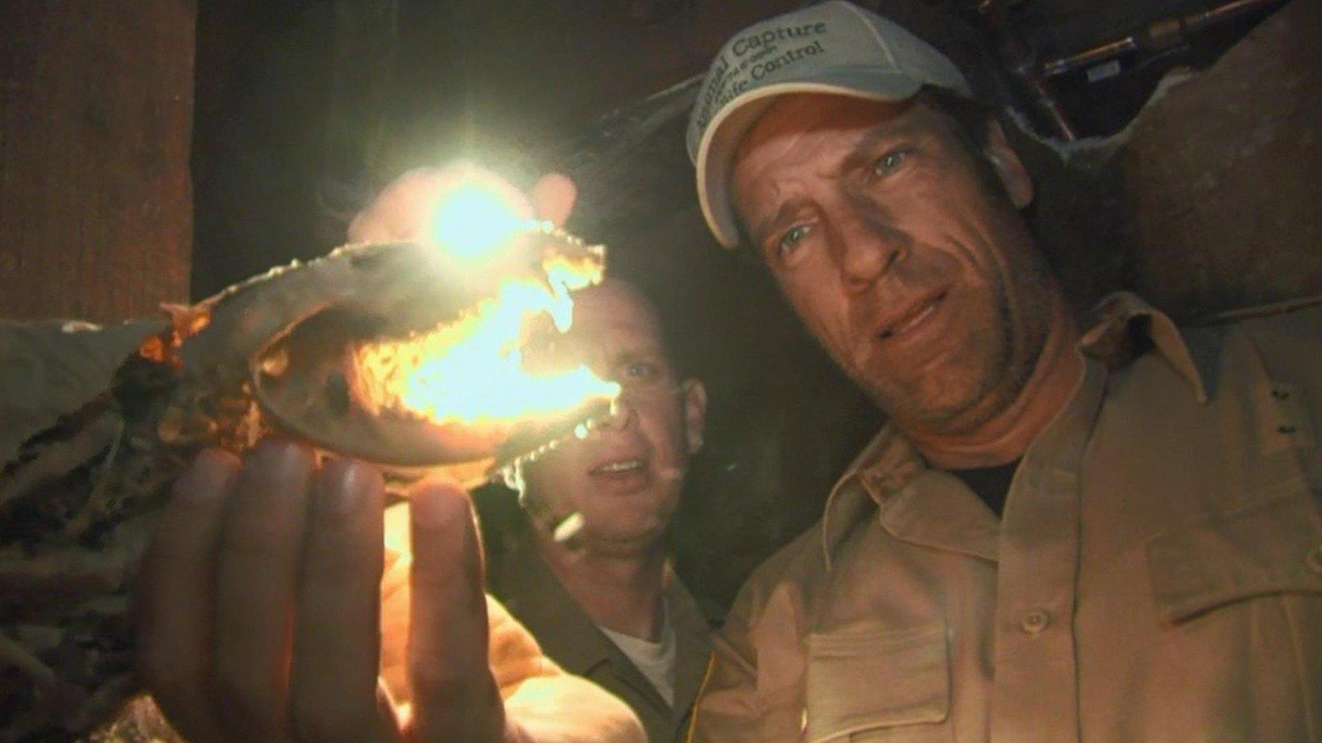 Dirty Jobs: Animal Control Specialist