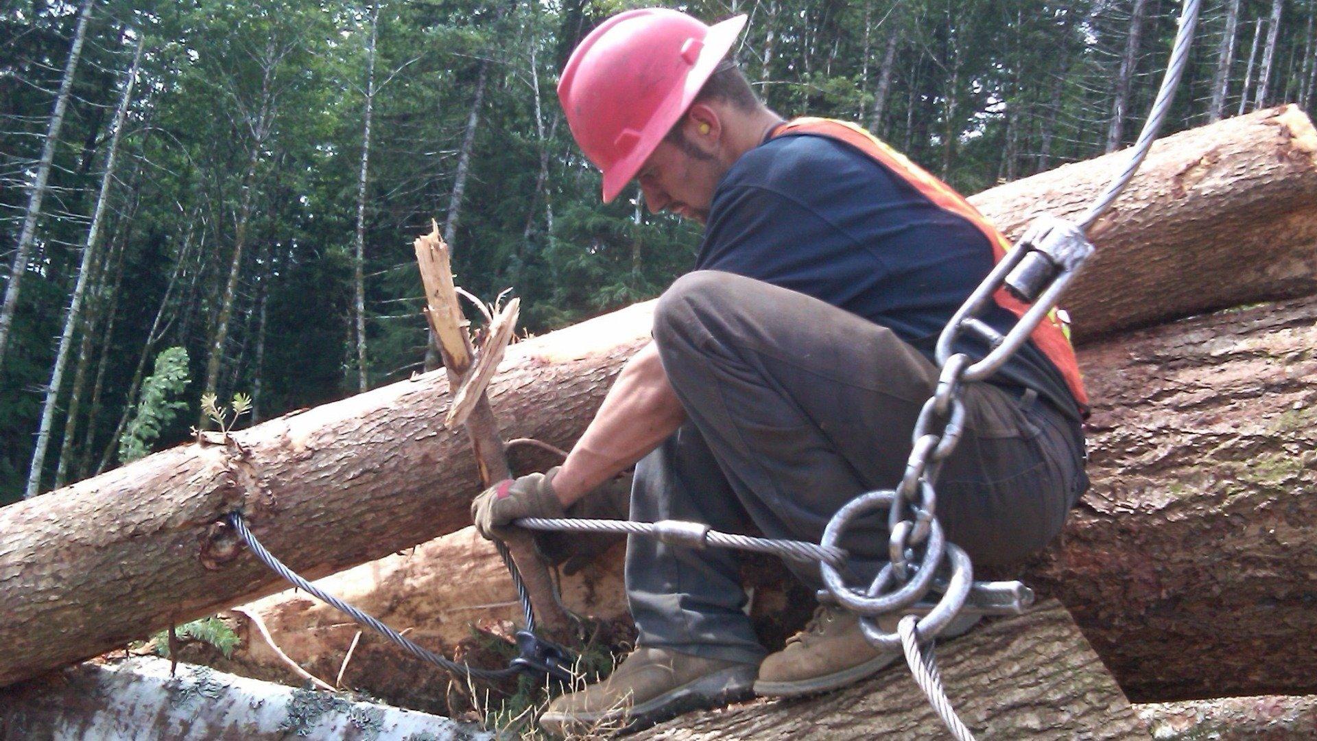 Ax Men: King of the Mountain