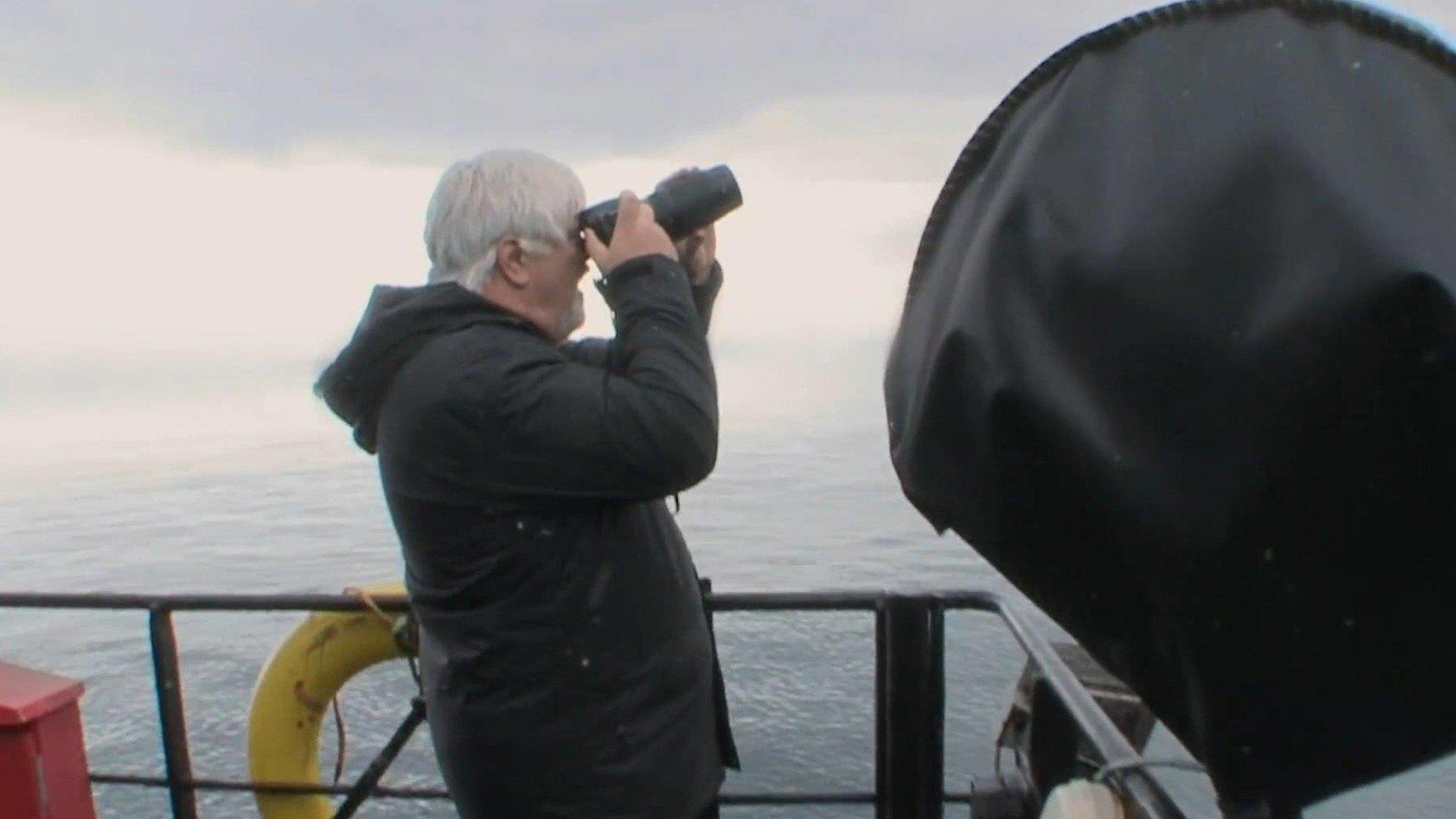 Whale Wars: Surrounded by Spies