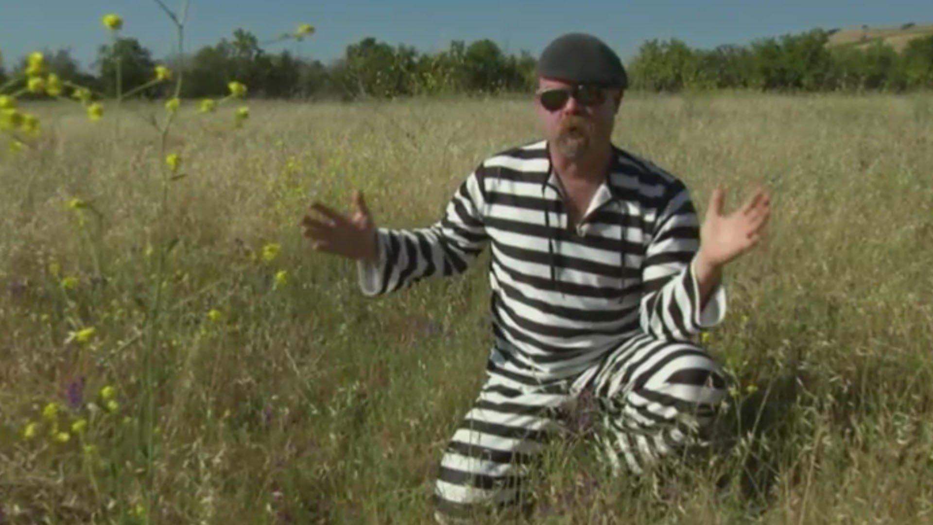 MythBusters: Hair of the Dog