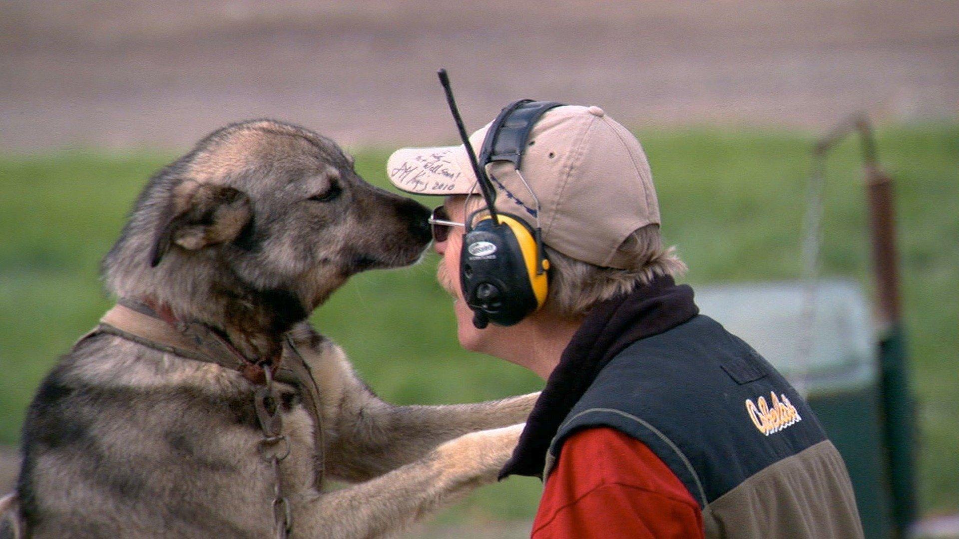 Modern Marvels: Dogs