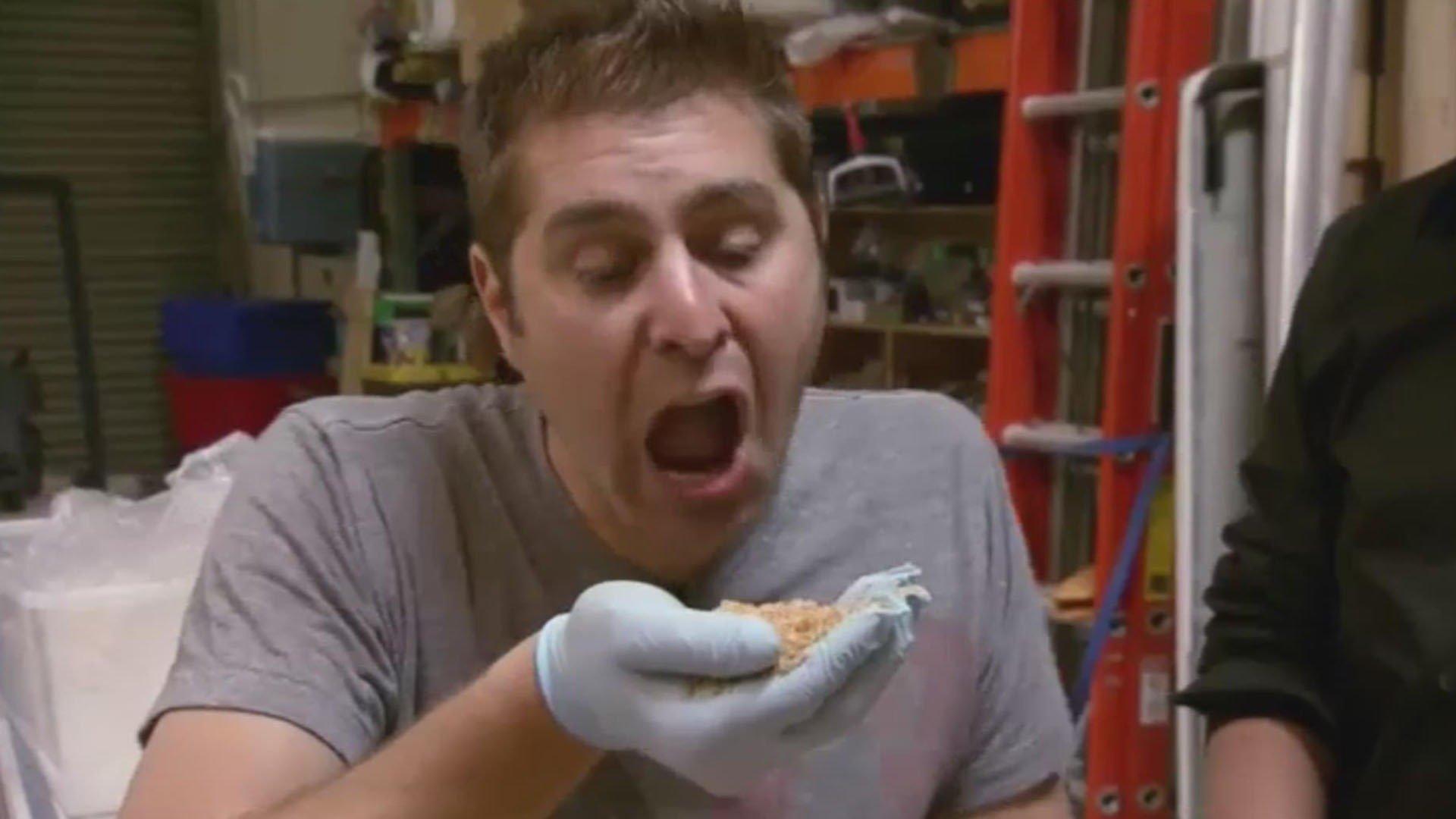 MythBusters: Bug Special