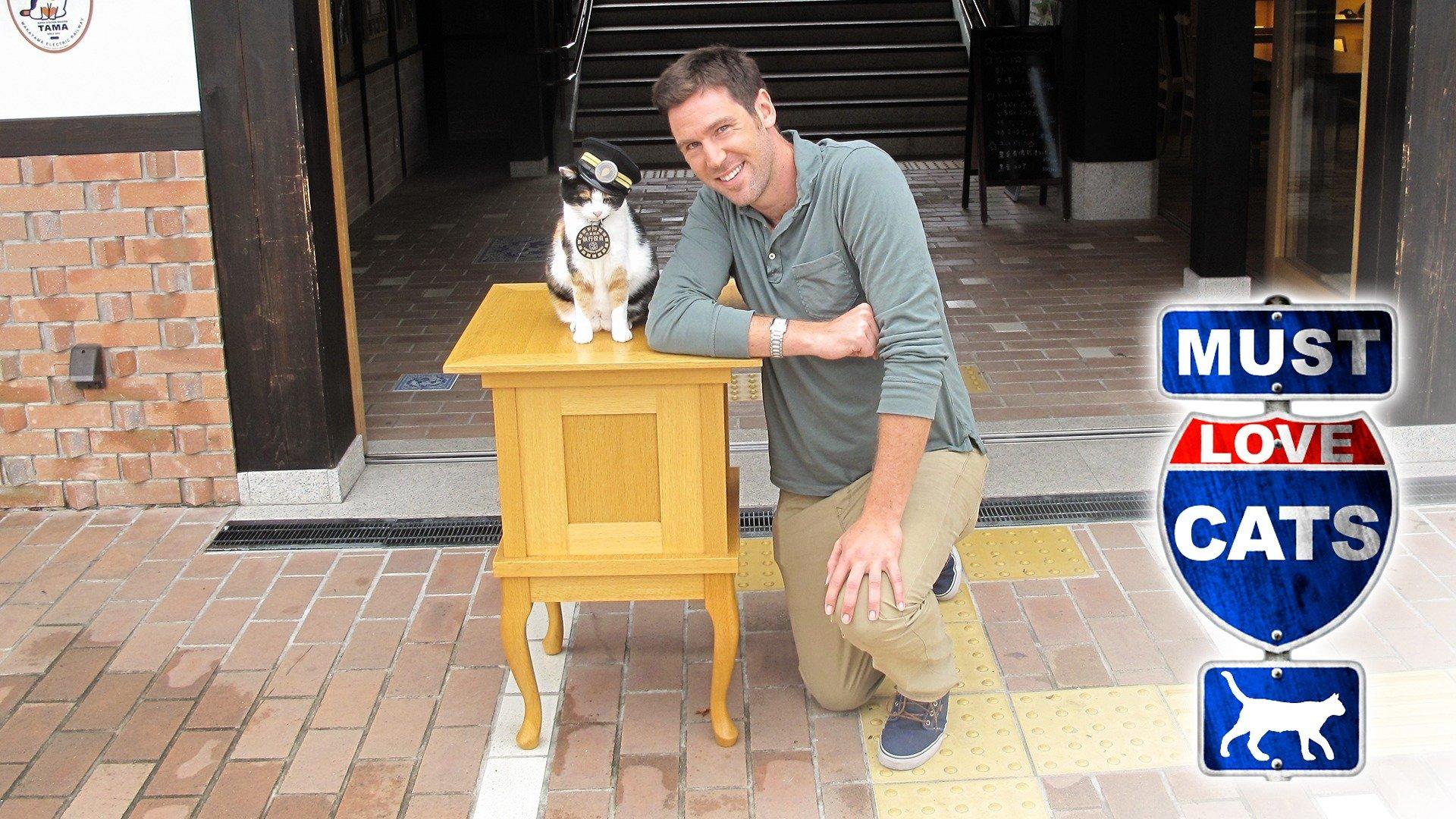 Watch Must Love Cats Streaming Online on Philo (Free Trial)