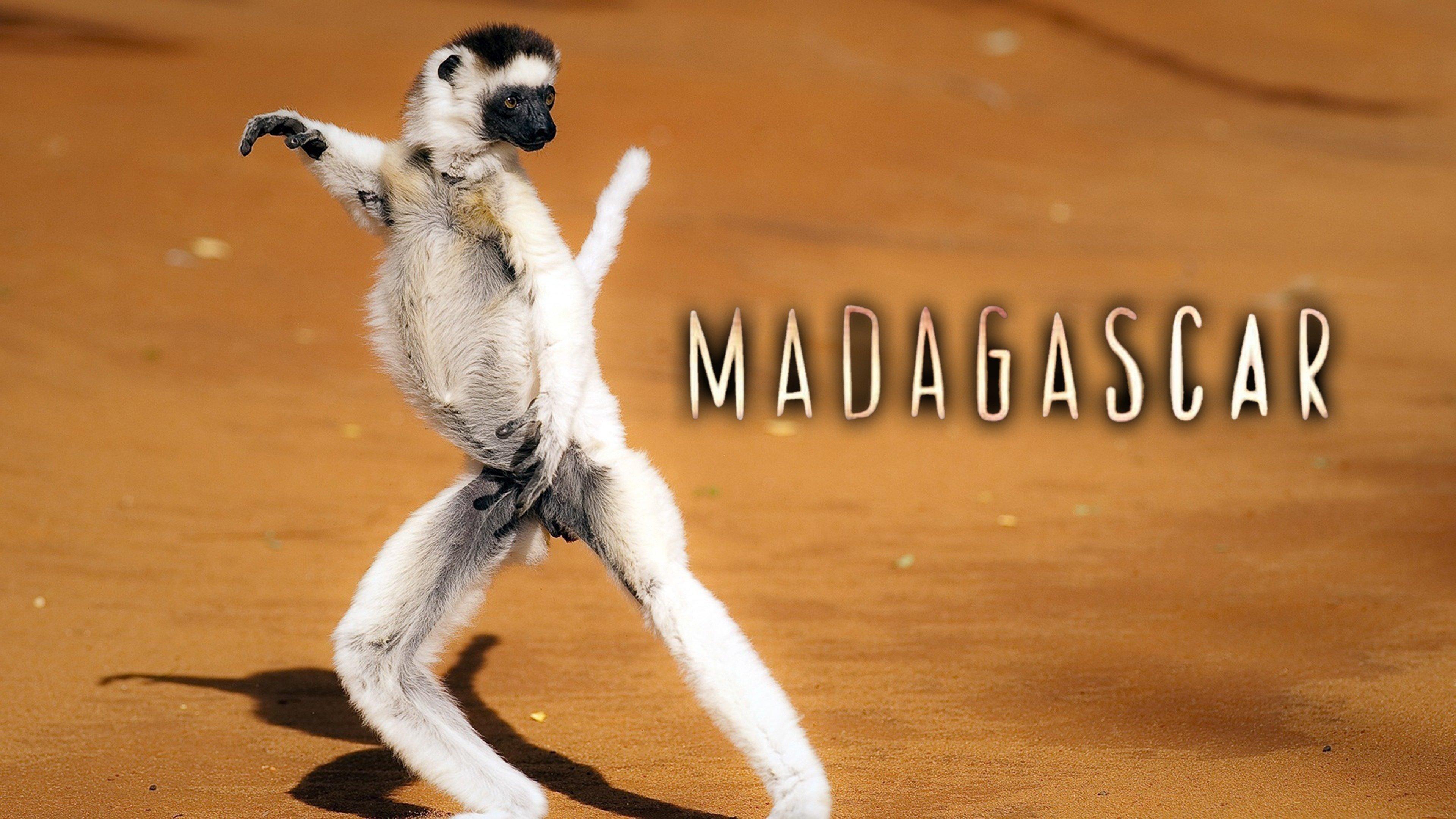 Watch Madagascar Streaming Online on Philo (Free Trial)