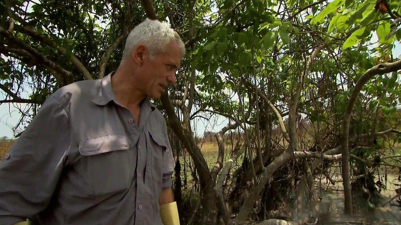 River Monsters: Electric Executioner