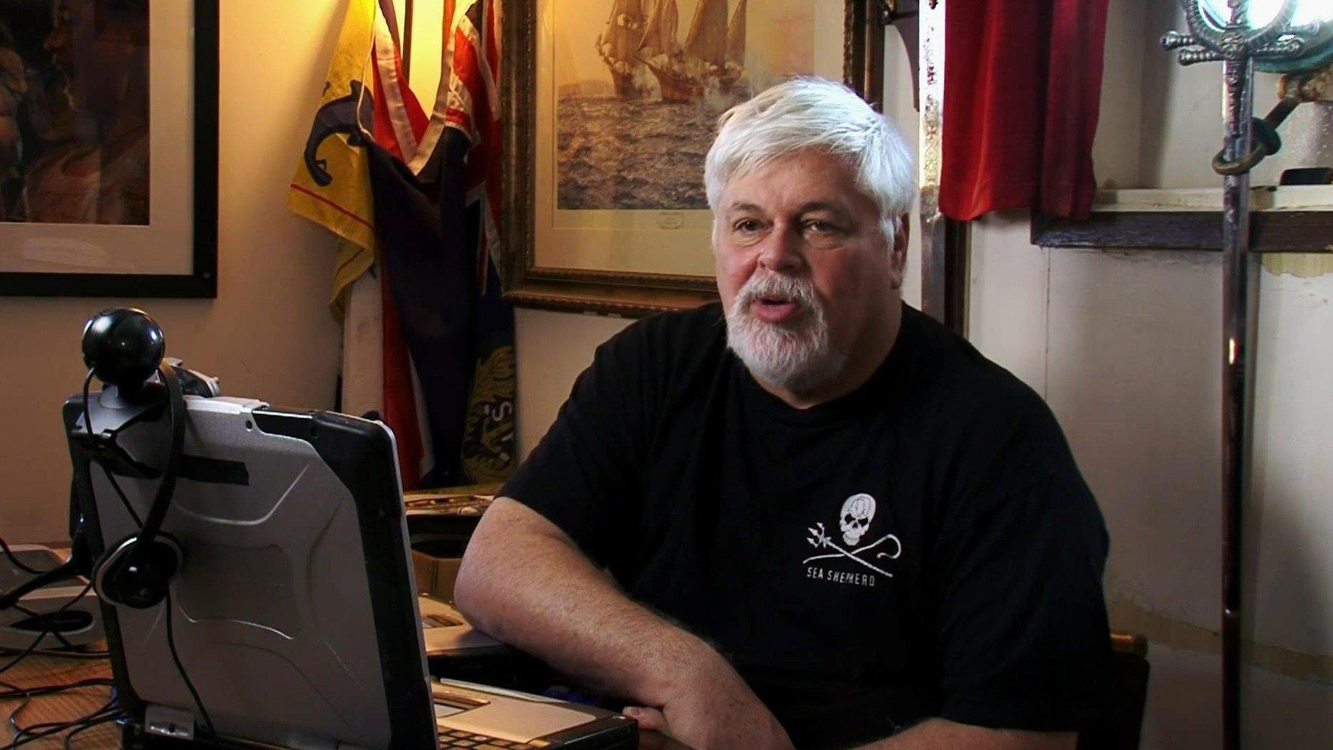 Whale Wars: Battle Cry