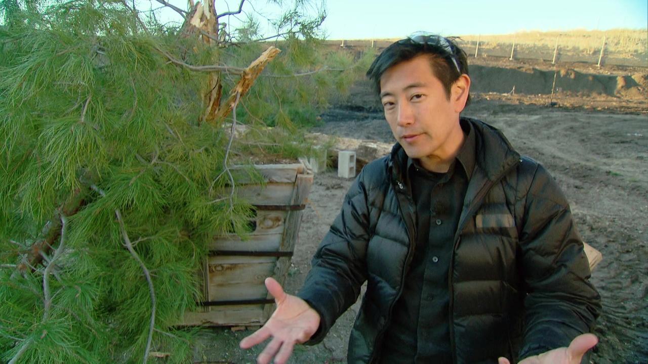 MythBusters: Bubble Trouble