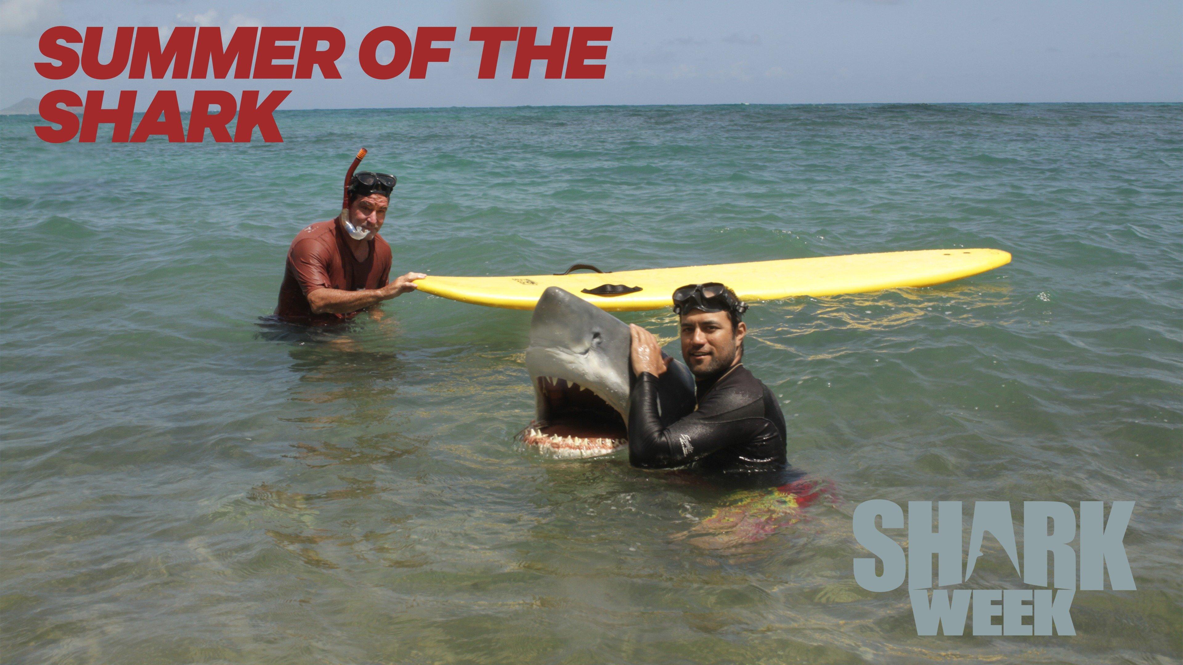 Watch Summer of the Shark Streaming Online on Philo (Free Trial)