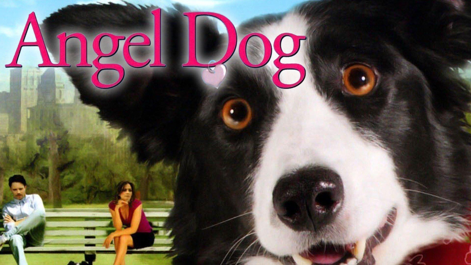Watch Angel Dog Streaming Online on Philo (Free Trial)