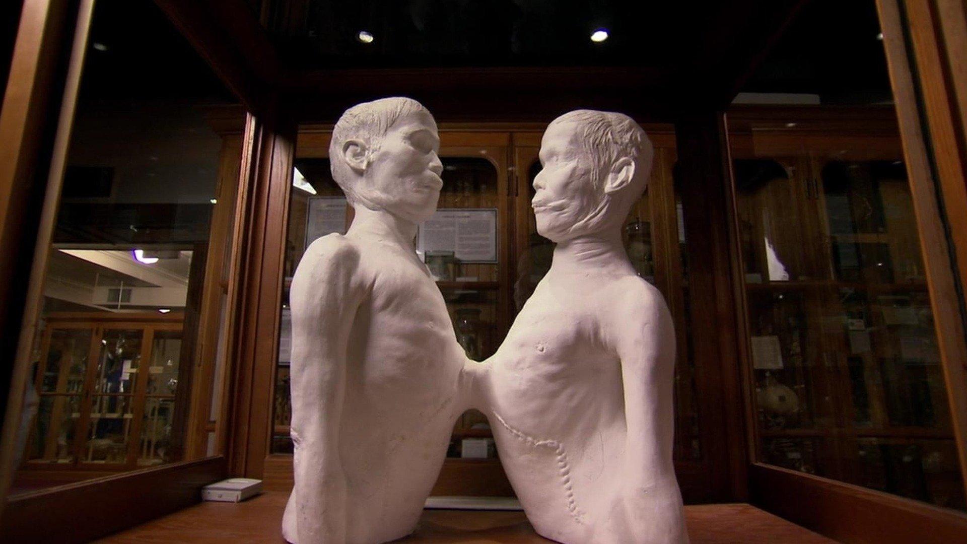 Mysteries at the Museum: Siamese Twins; Assassin Umbrella; Capone's ...