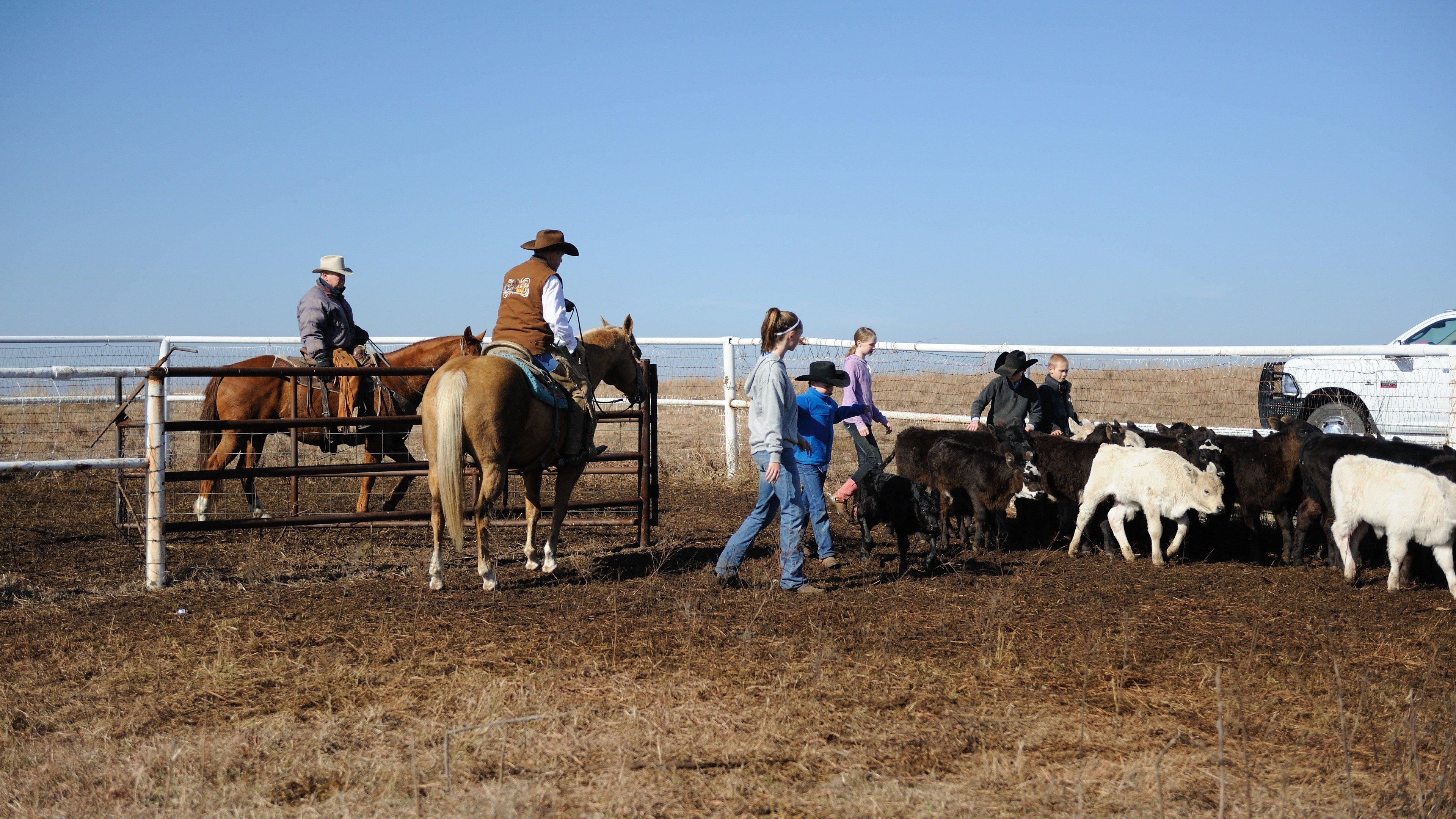 The Pioneer Woman: Ranching in the Mist