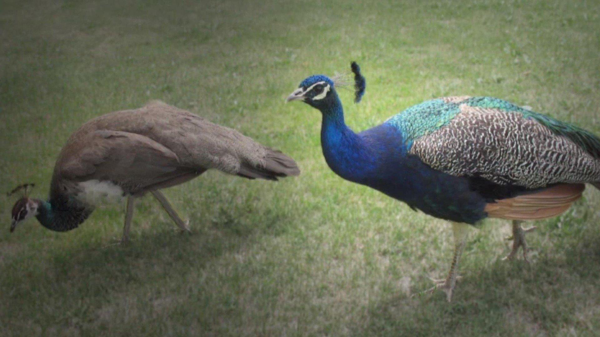 Shipping Wars: May the Ship Be With You