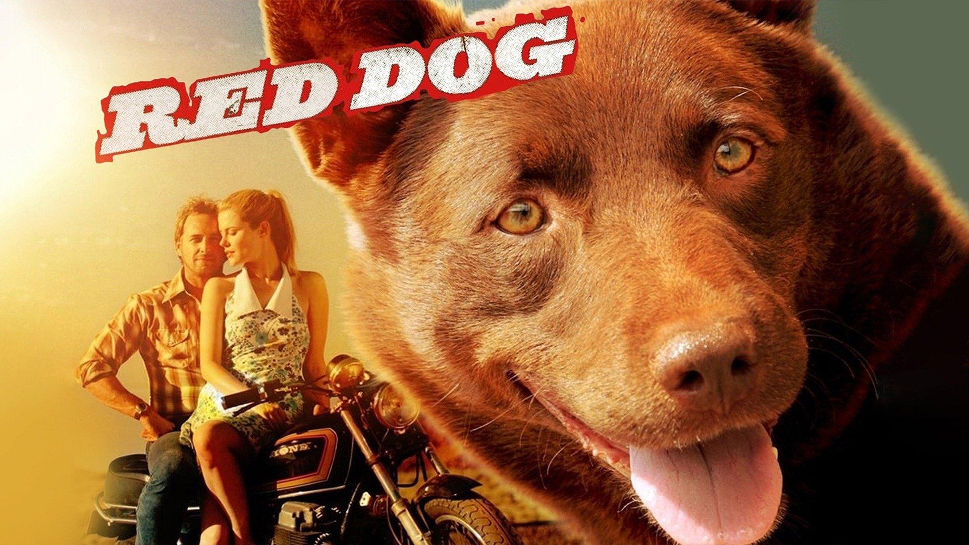 Watch Red Dog Streaming Online on Philo (Free Trial)